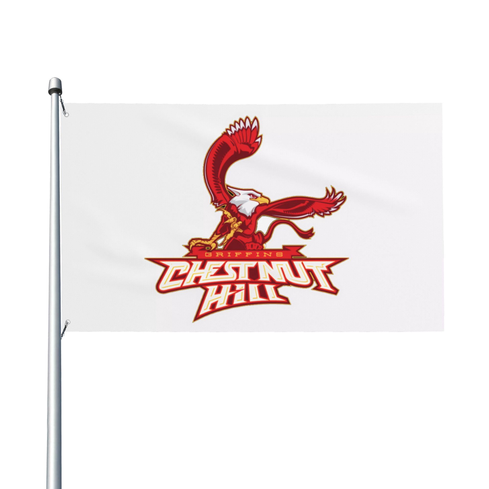 Chestnut Hill College Flag For Indoor Home House Decor Durable Garden ...