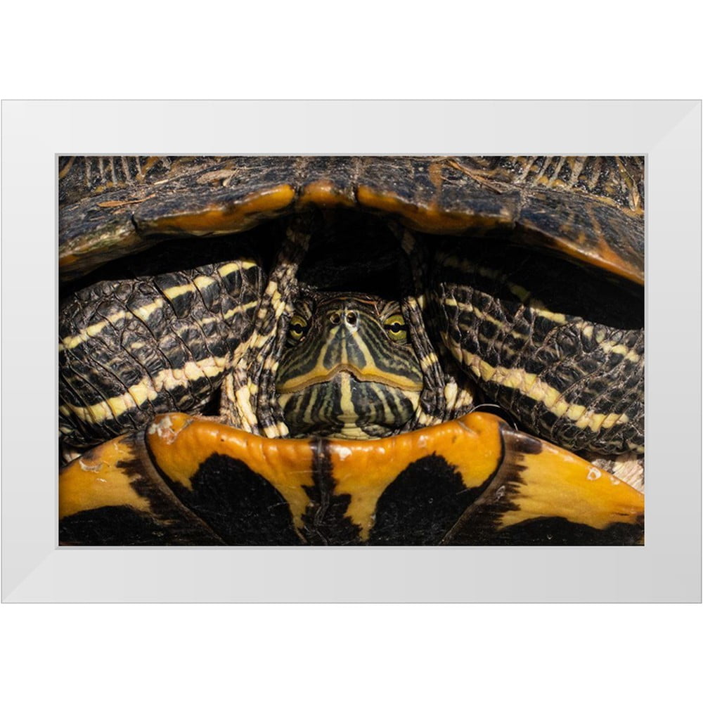 Cheung, Lance 18x13 White Modern Wood Framed Museum Art Print Titled ...