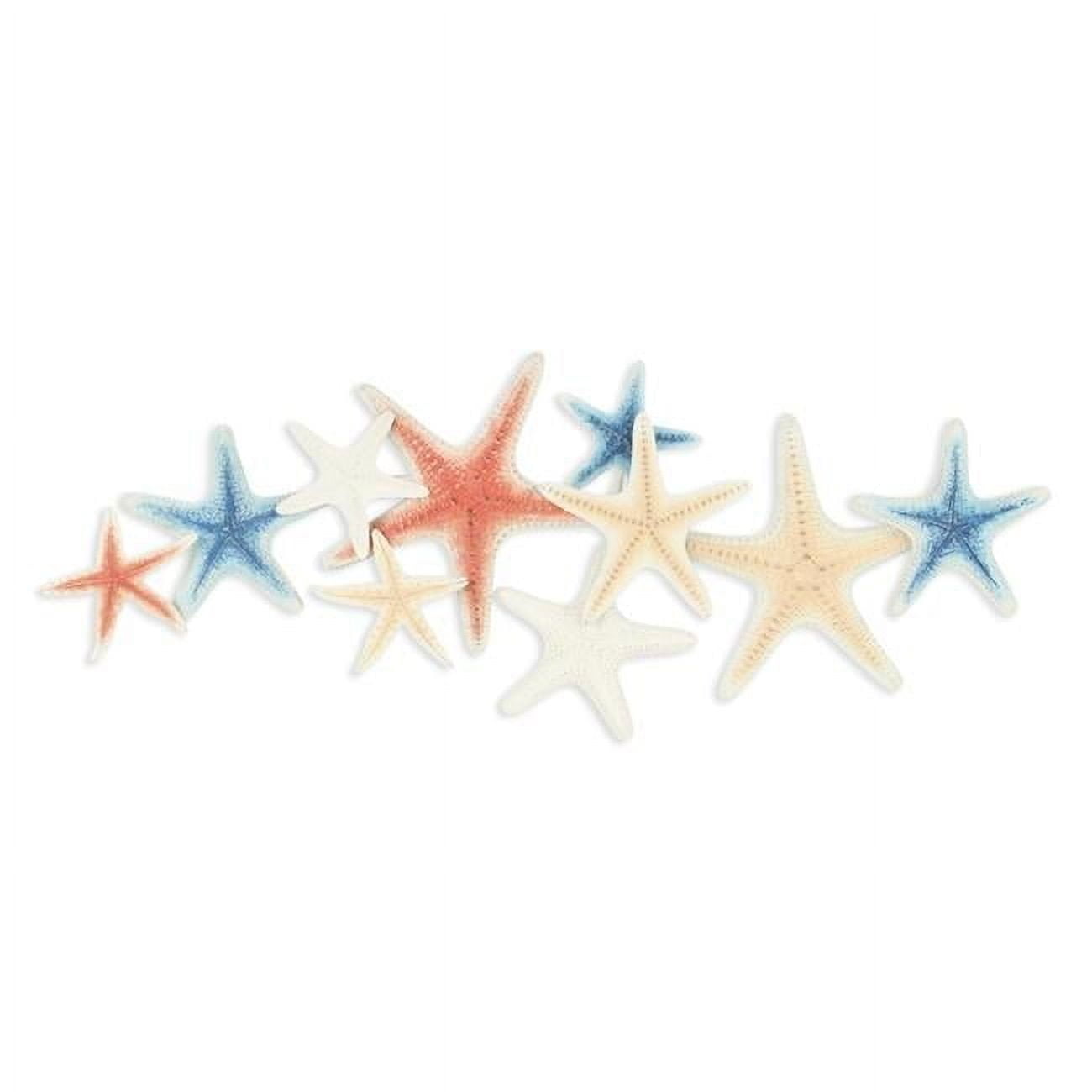 Cheungs 5892 Coralia Coastal Star Fish Ensemble Wall Decor - Walmart.com