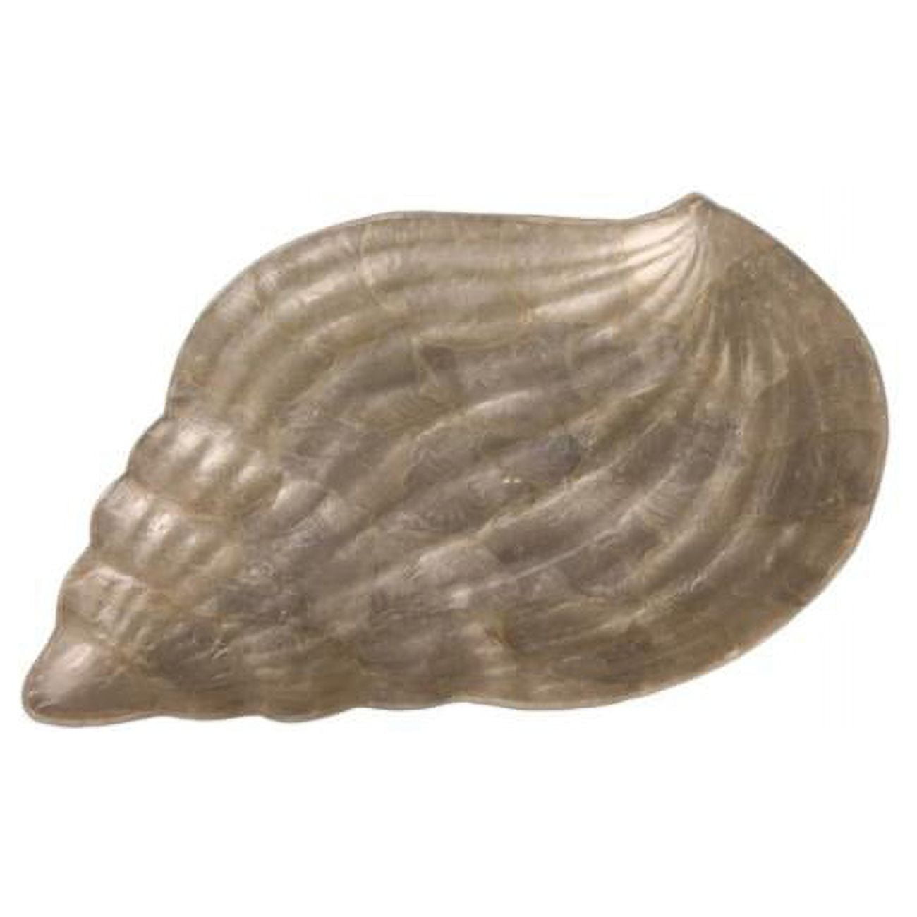 Cheungs CRLL-03 Capiz Bojong Shell Shaped Tray - Walmart.com