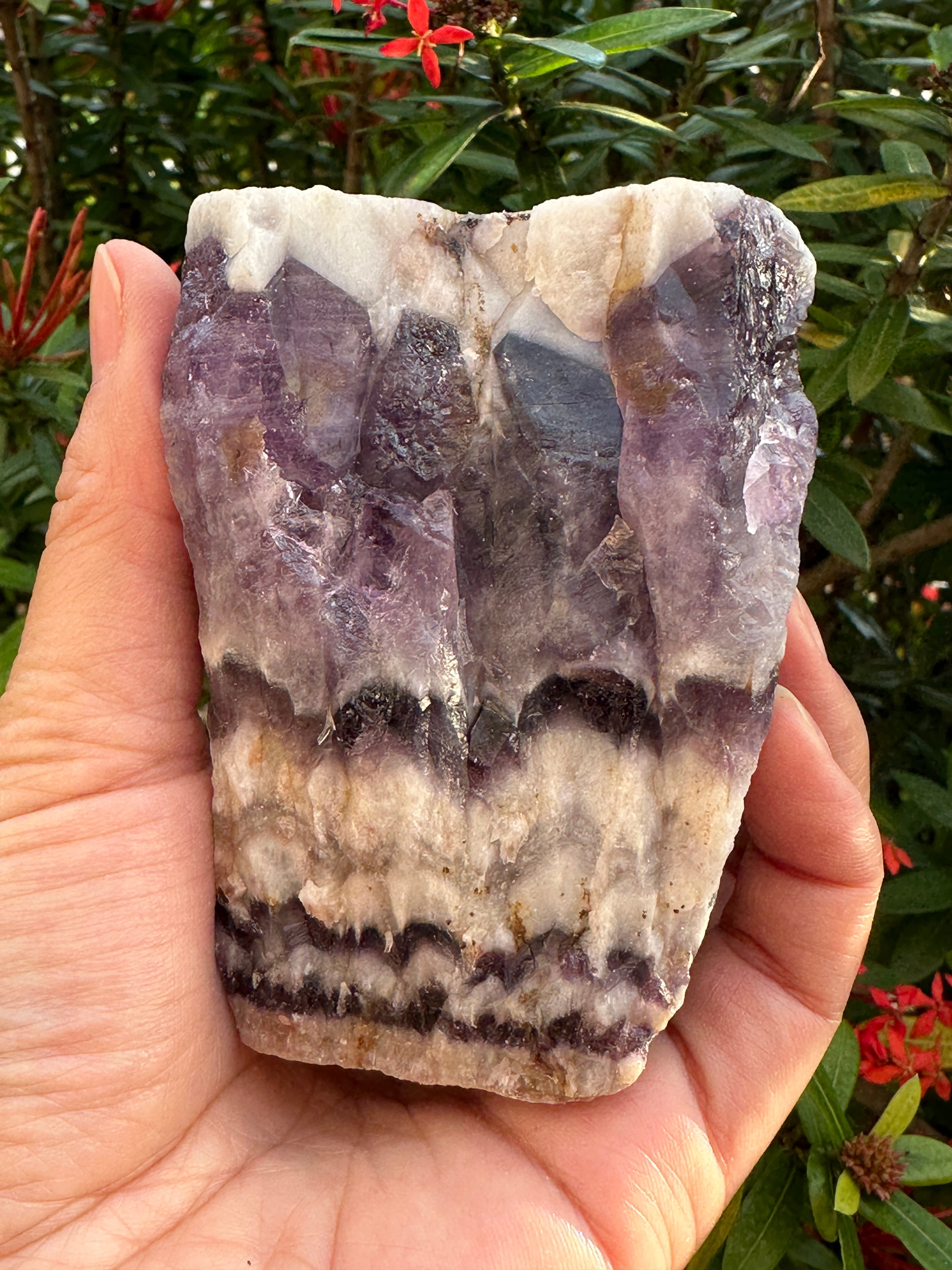 Chevron Amethyst Rough, Natural Chevron Amethyst Rough, Raw Chevron ...
