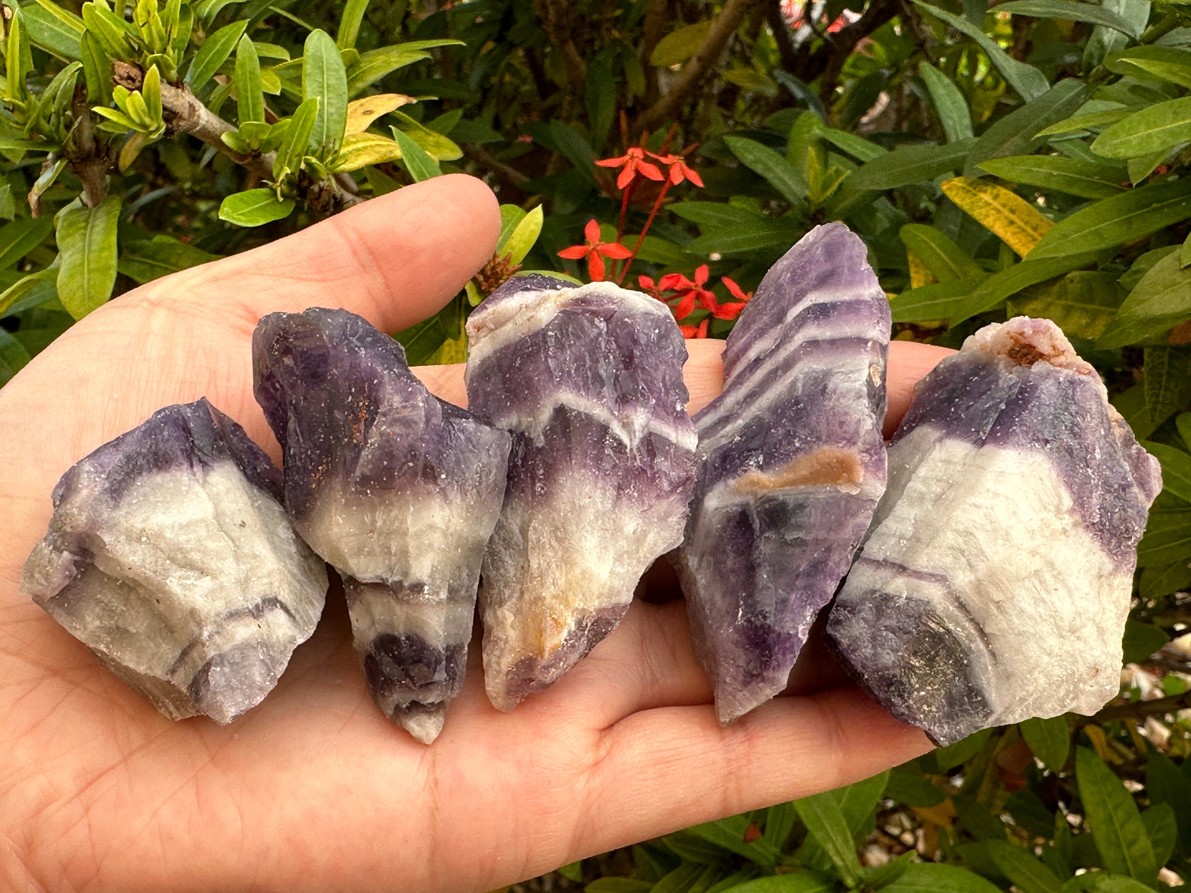 Chevron Amethyst Rough, Natural Chevron Amethyst Rough, Raw Chevron ...