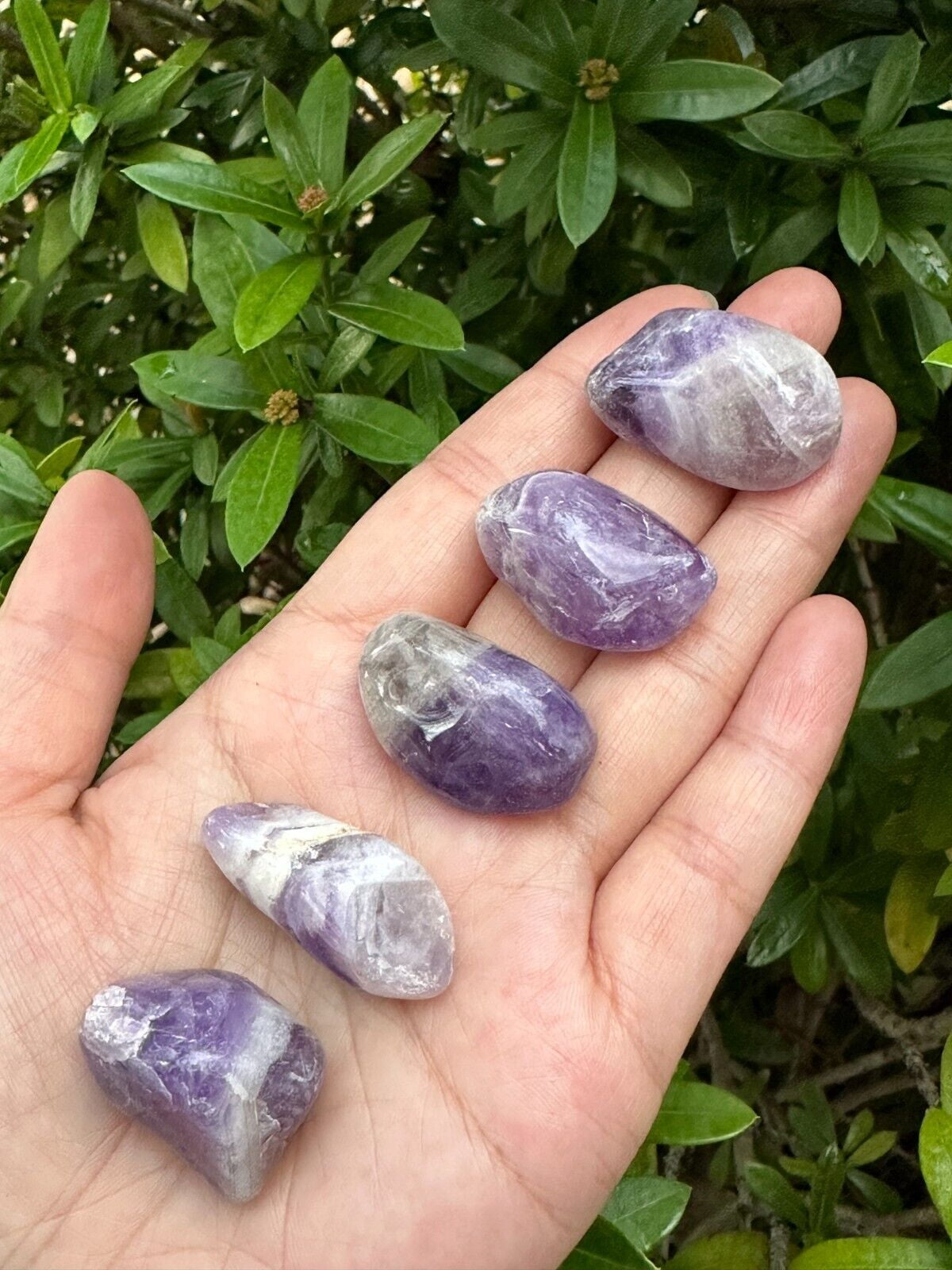 Chevron Amethyst Tumbled Stones, 0.75-1.25" Tumbled Stones, Pick How ...