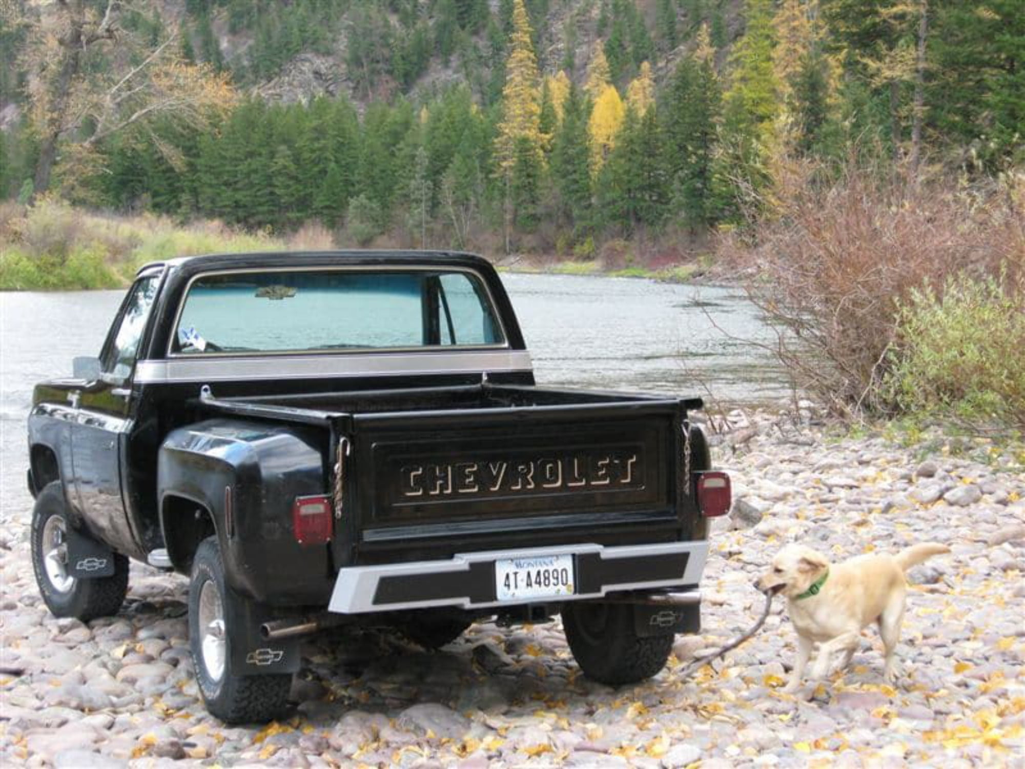 Chevy Bumper Stepside 1950-1987 Rear Small Bow Tie Bumper For Chevy ...