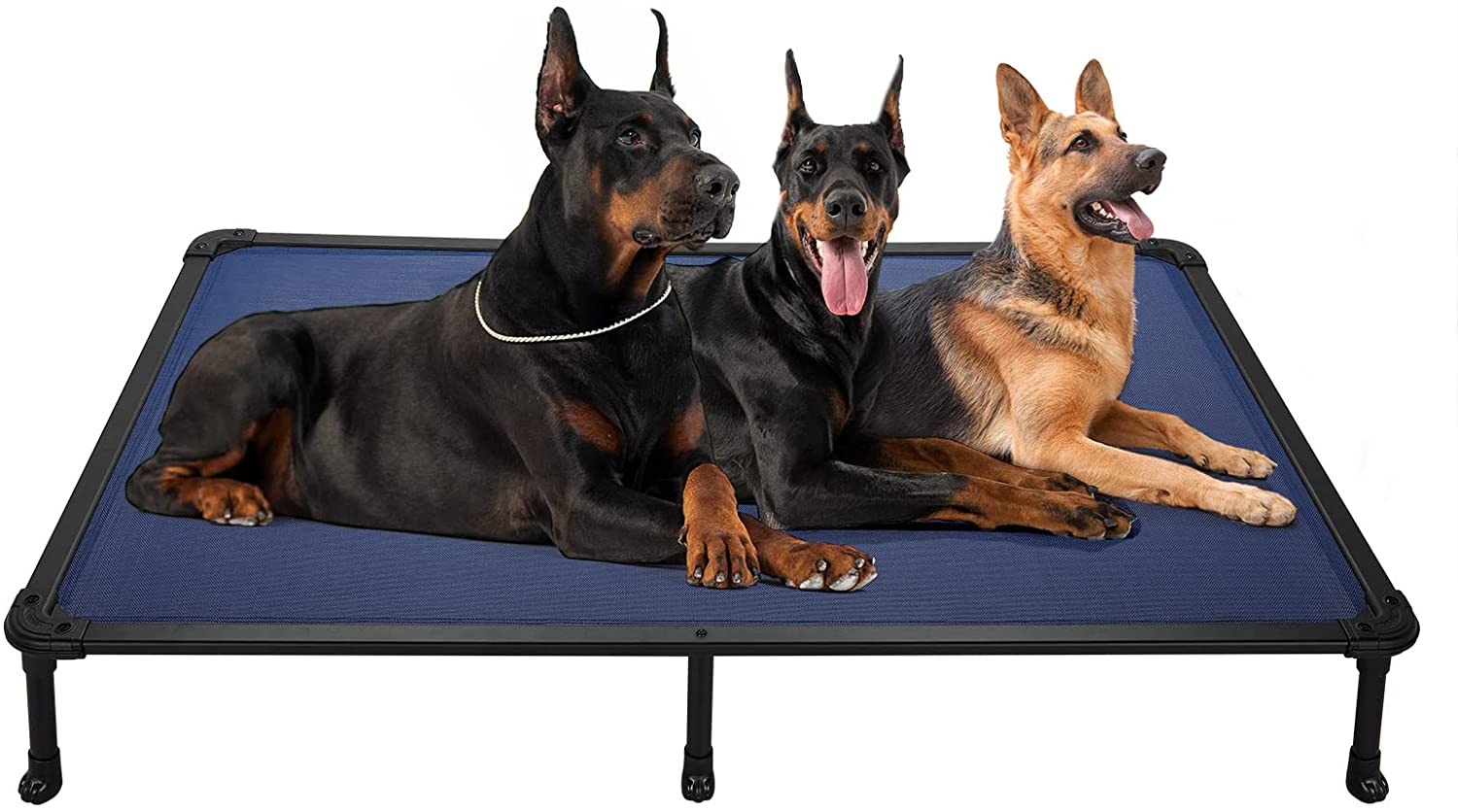 Chew Proof Elevated Dog Bed - Cooling Raised Pet Cot - Rustless ...
