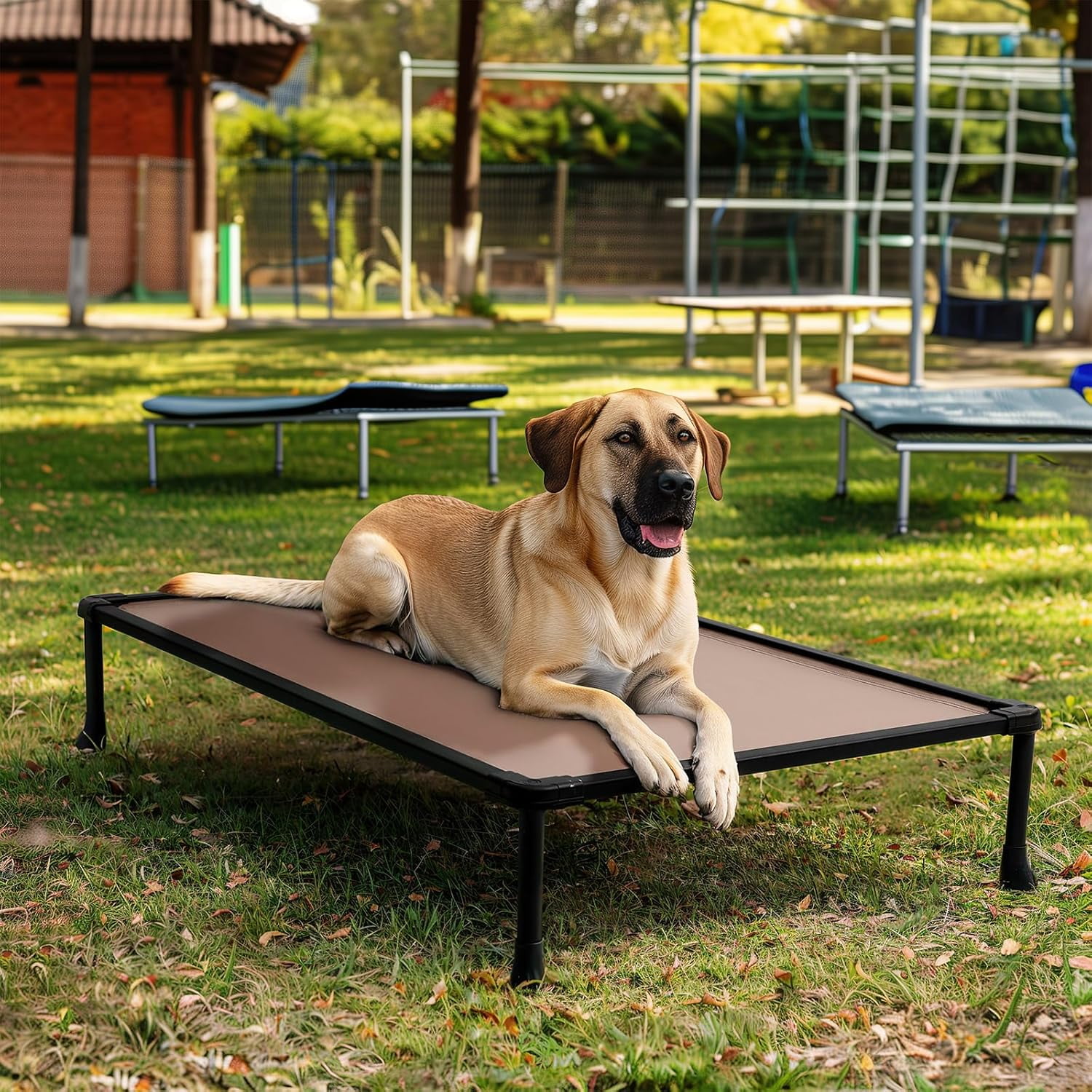 Chew Proof Elevated Dog Bed, Durable Raised Training Platform for Large ...