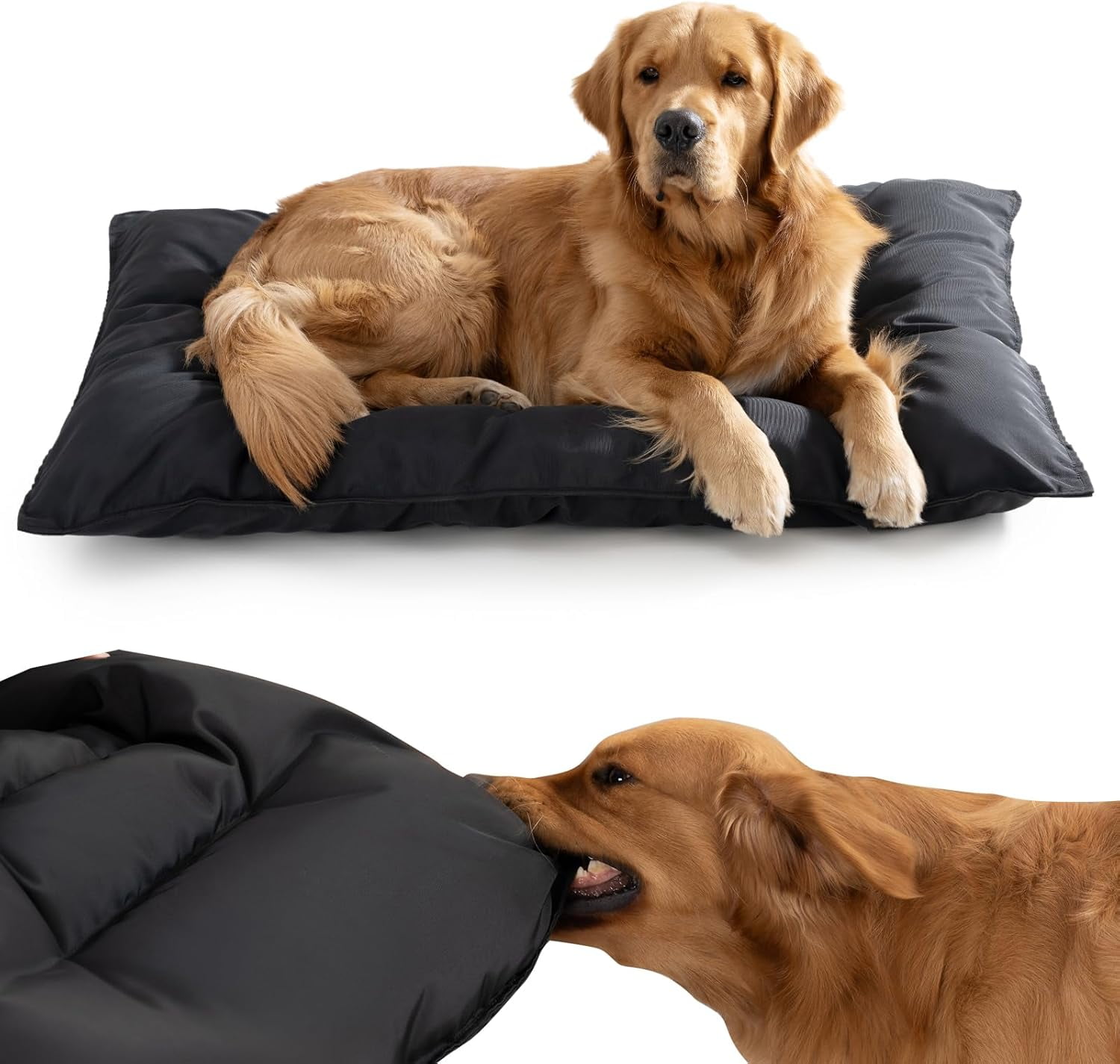 Chew Proof Indestructible Dog Bed - Durable Dog Bed for Aggressive ...