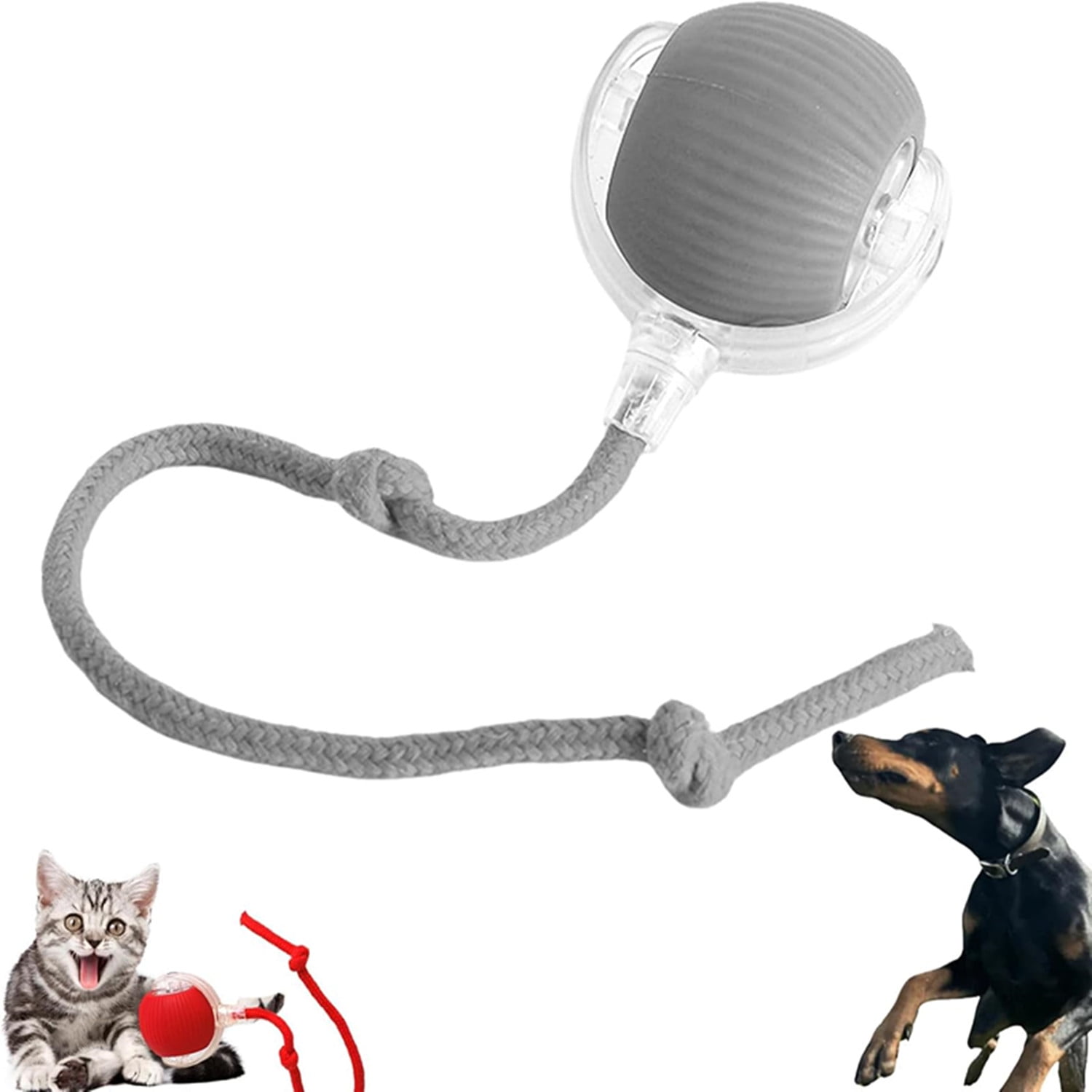 Chewie Ball, Chewie Viral Rolling Ball, Interactive Cat Ball Toy ...
