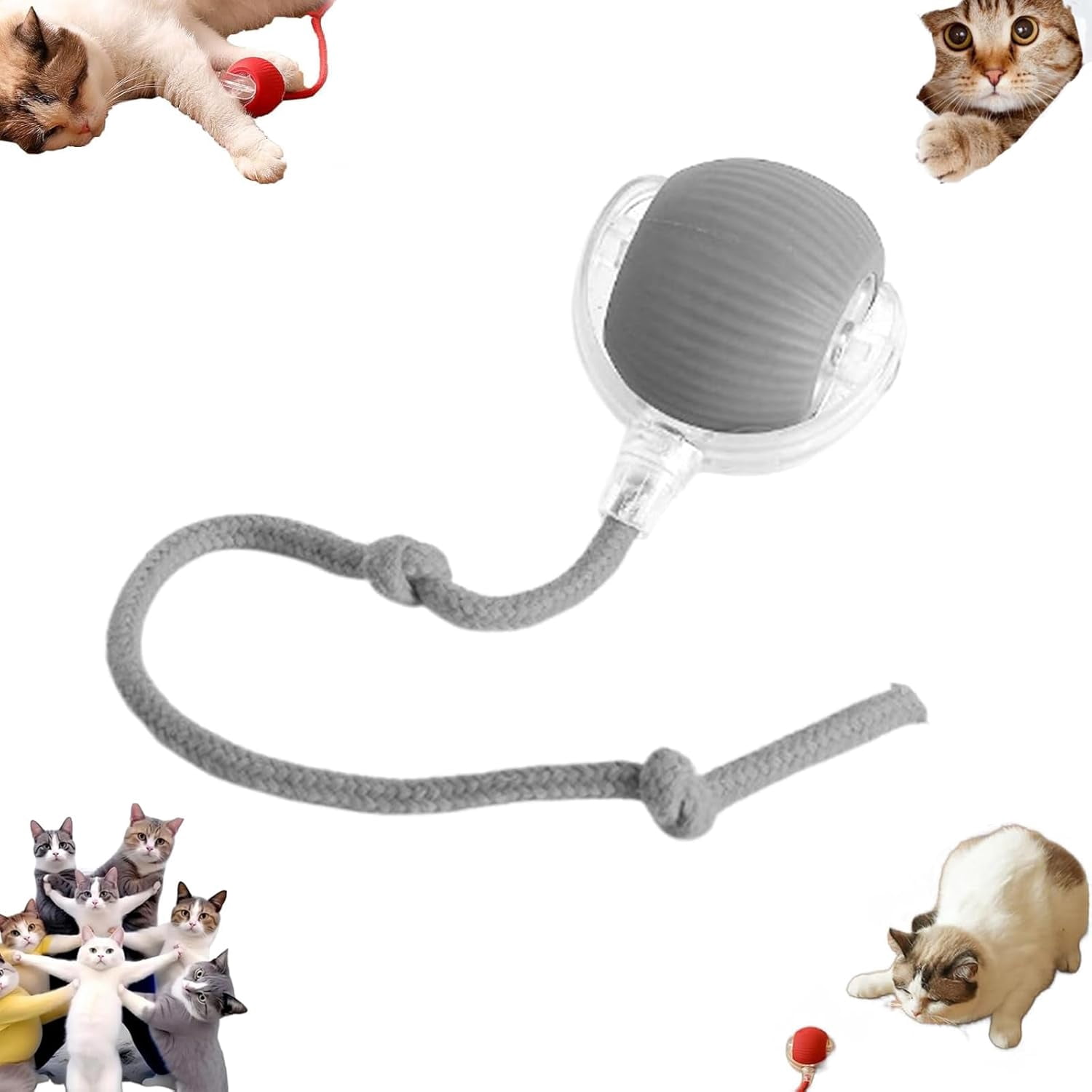 Chewie Ball, Chewie Viral Rolling Ball, Interactive Cat Ball Toy ...