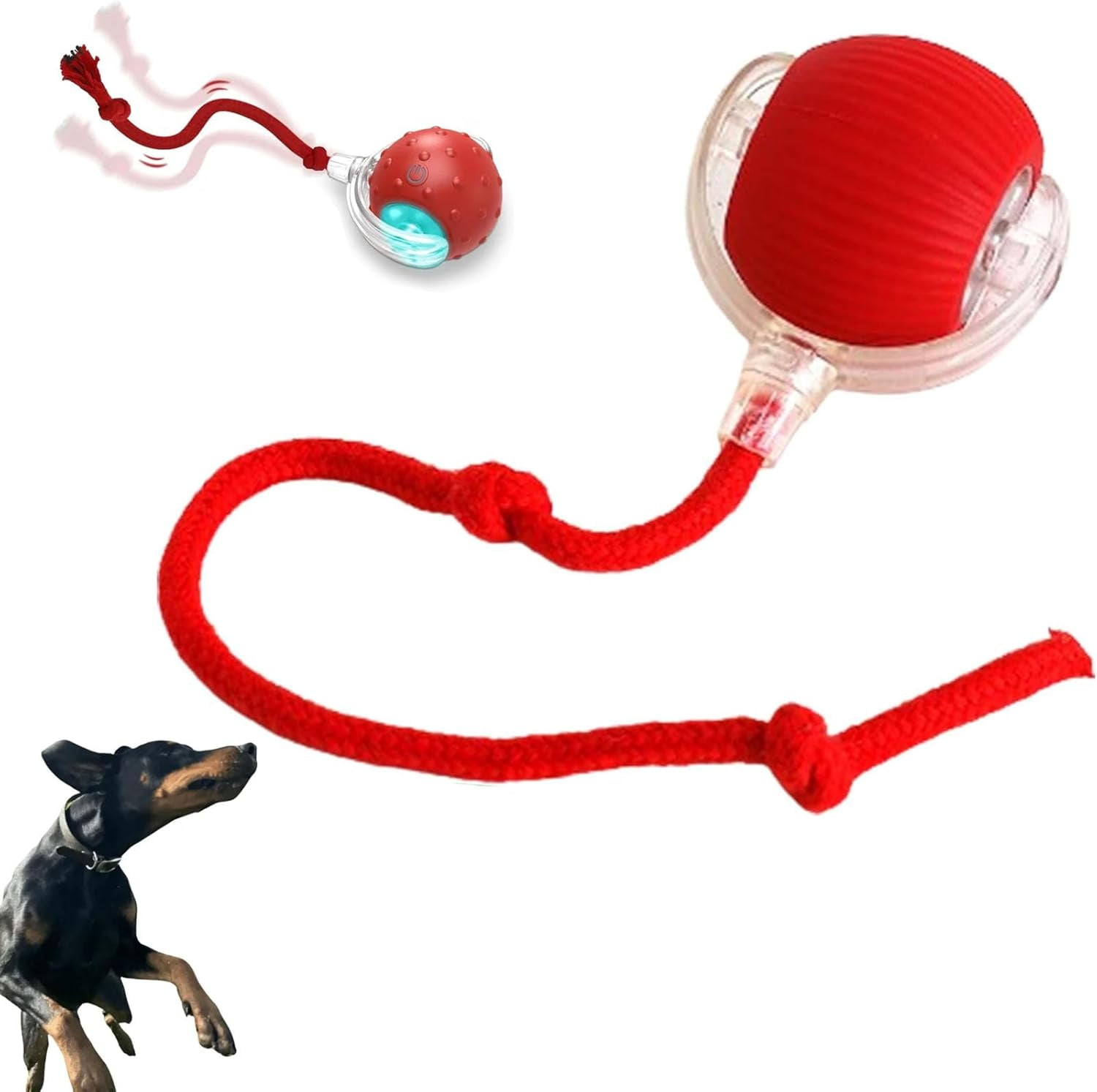 Chewie Viral Rolling Ball, Chewy Viral Rolling Ball, Viral Rolling Ball ...