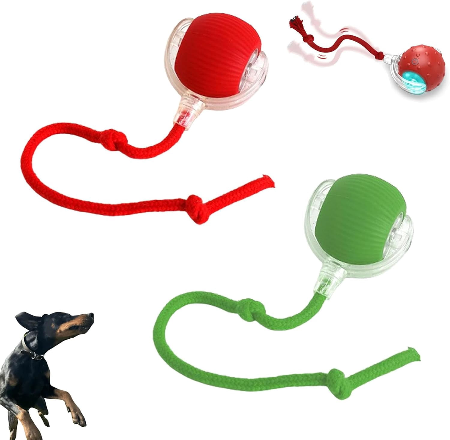 Chewie Viral Rolling Ball, Viral Rolling Ball, Chewie Doggie Ball ...