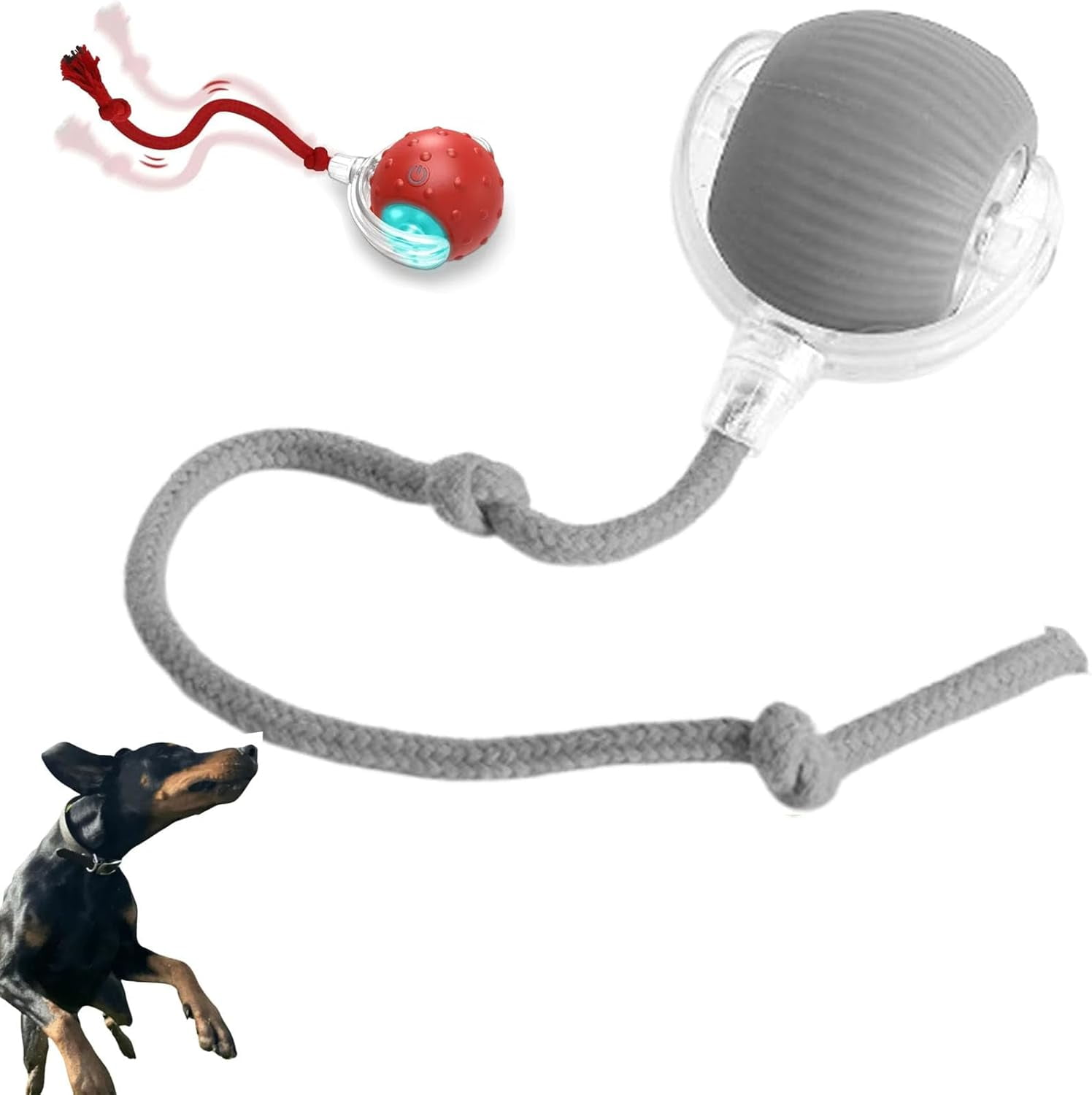 Chewie Viral Rolling Ball, Viral Rolling Ball, Chewie Doggie Ball ...