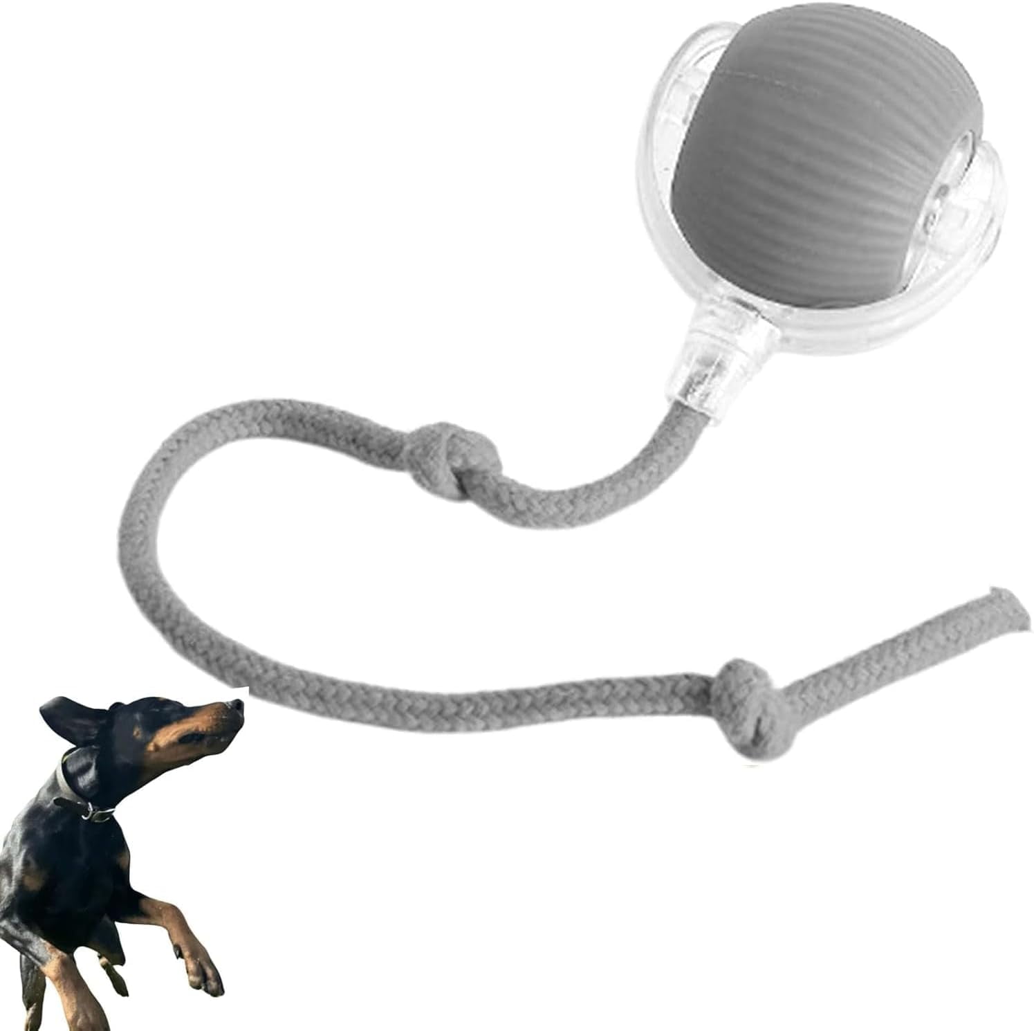 Chewie Viral Rolling Ball, Viral Rolling Ball, Chewie Doggie Ball ...