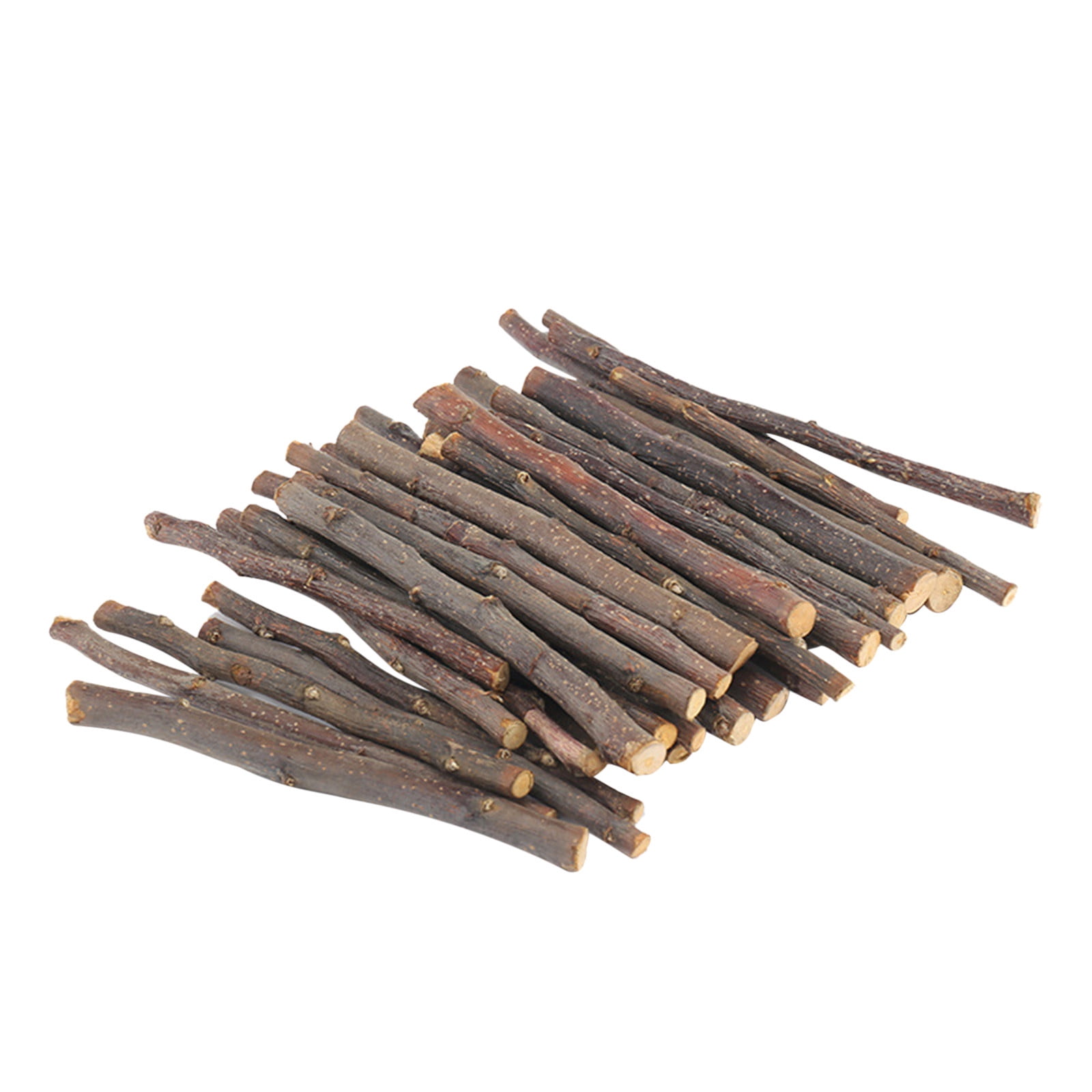 Chewing for Dogs Puppy Culture Wooden Dog Bones for Crafts Moving Dog ...