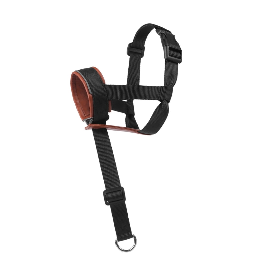 Chews Proof Muzzle Dog Training Mouth Cover Short Snouts Dog Mouth ...