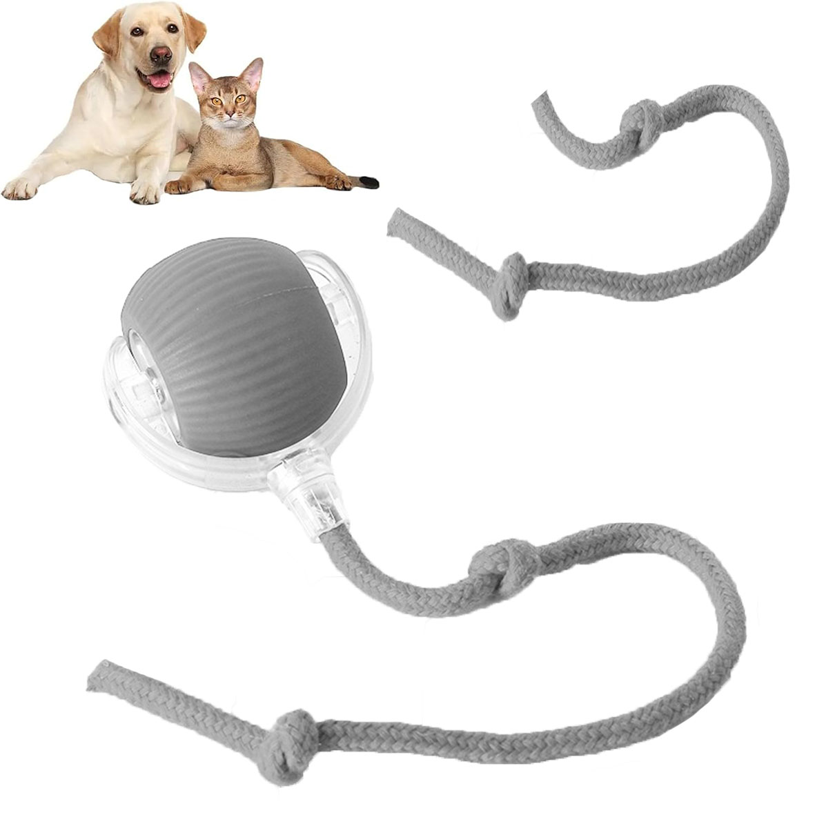 Chewy Viral Rolling Ball, Interactive Rolling Dog Ball, Viral Rolling ...