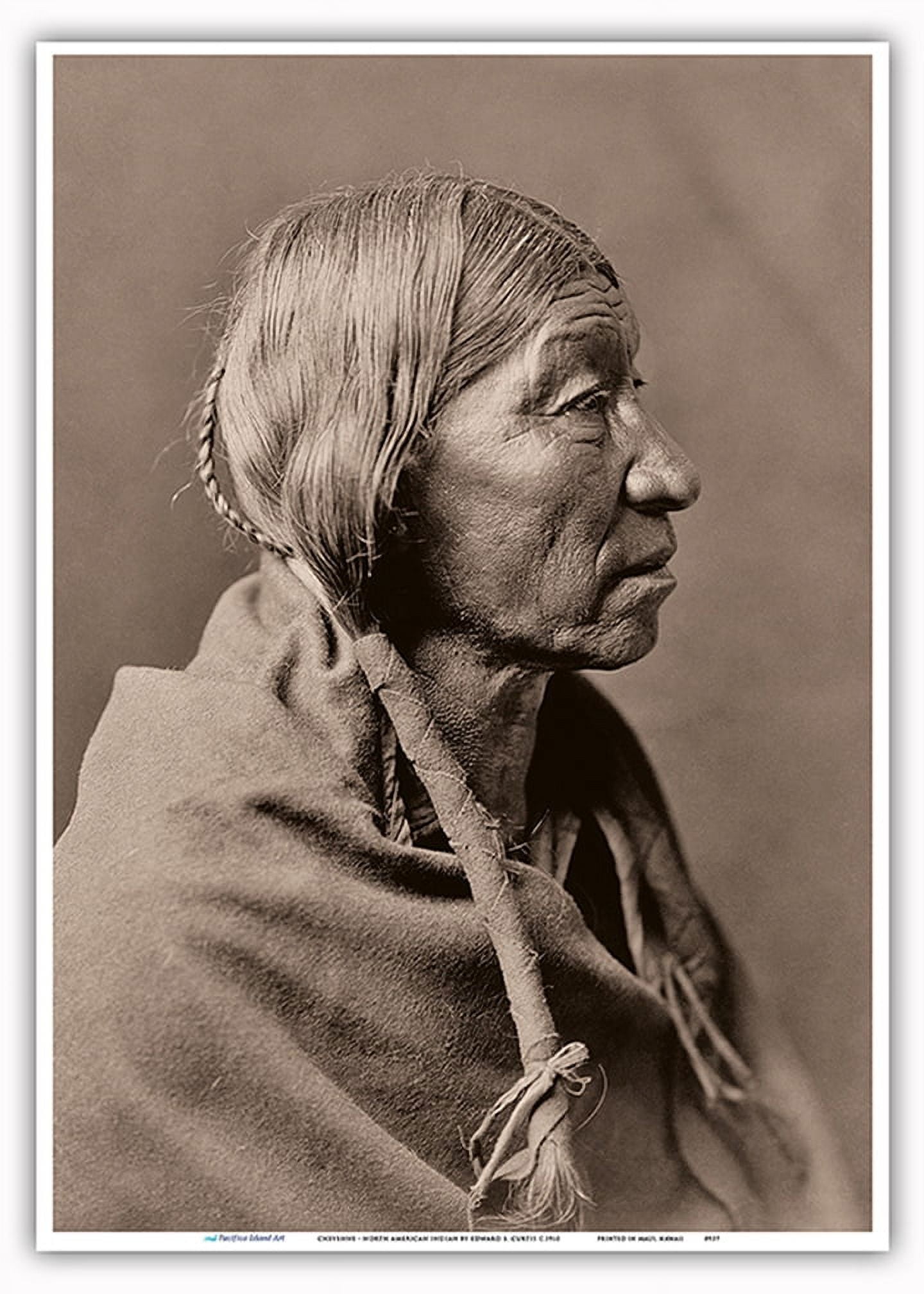 Cheyenne Male Profile - The North American Indians - Vintage B&W ...