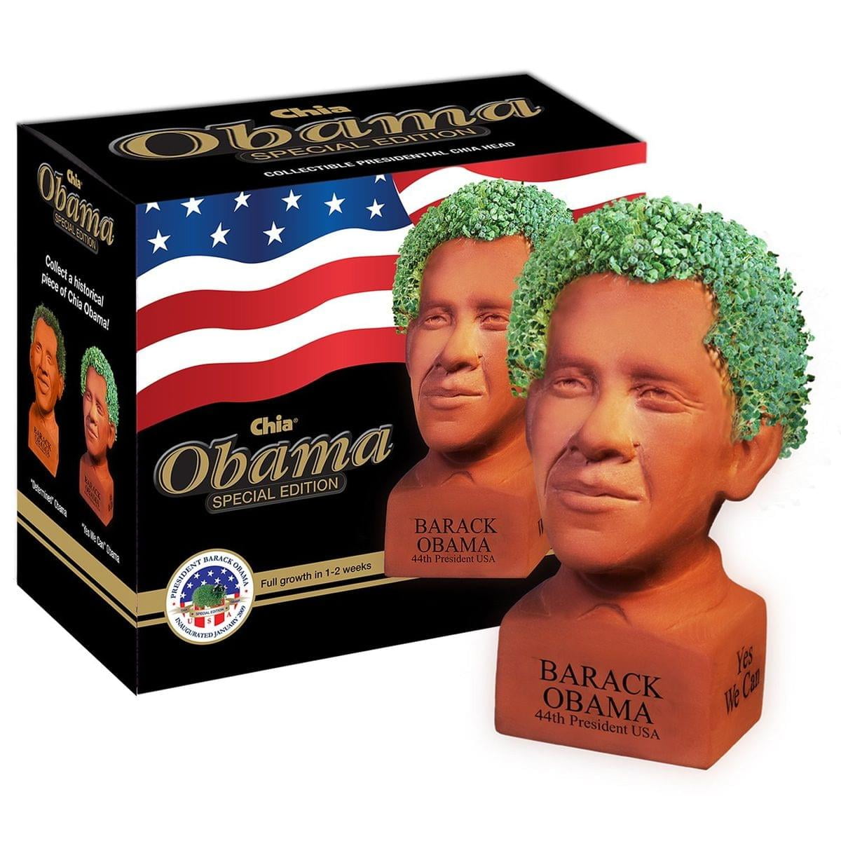 Chia Pet Barack Obama Special Edition, Decorative Pottery Planter with ...