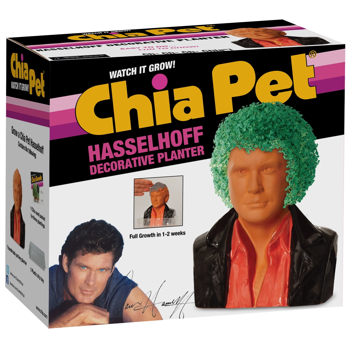 Chia Pet David Hasselhoff - Walmart.com
