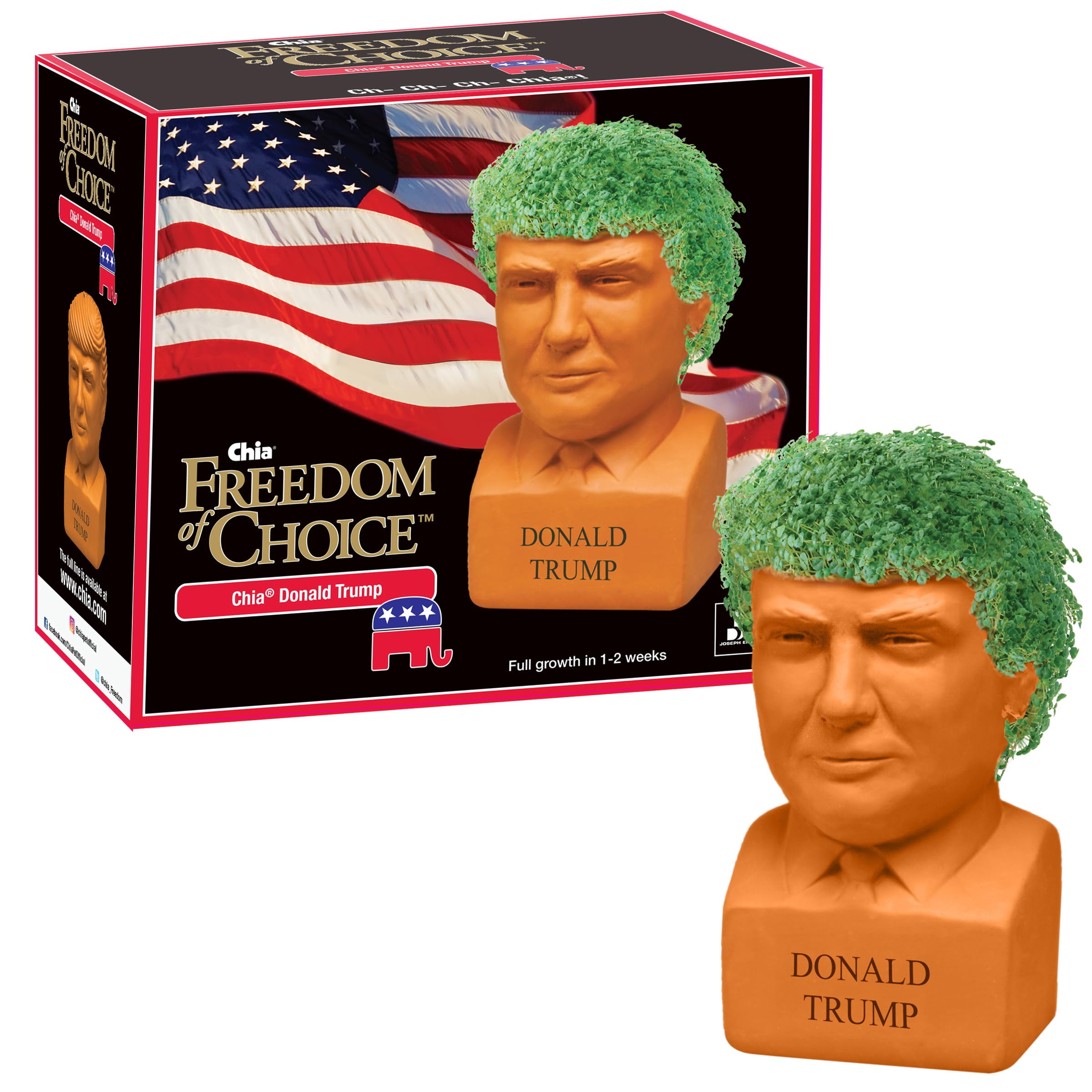Chia Pet Donald AJH3 Trump with Chia Seed Pack - Freedom of Choice ...
