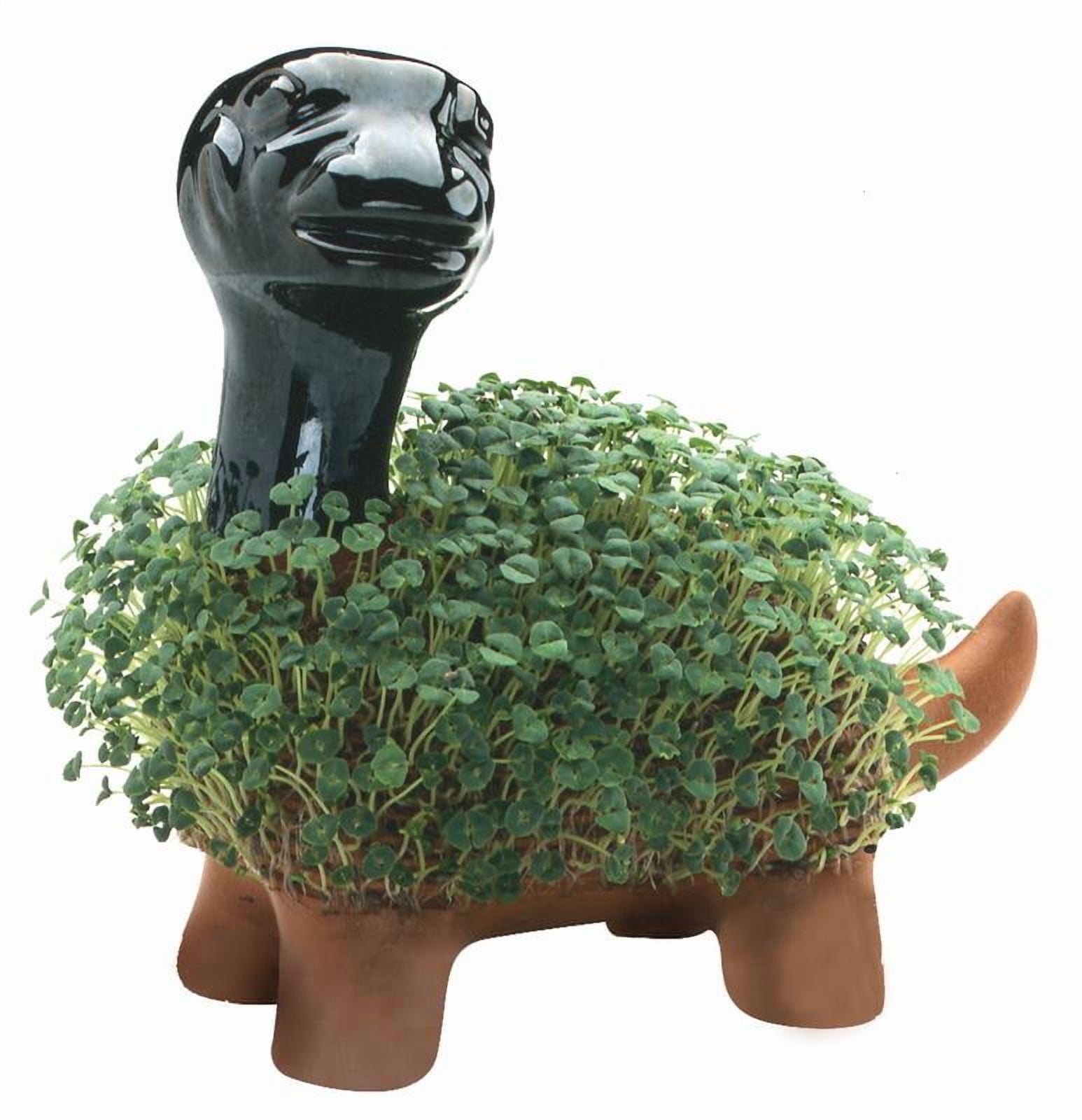 Chia Pet Elephant - Fun and Easy to Grow Decorative Pot for Kids ...