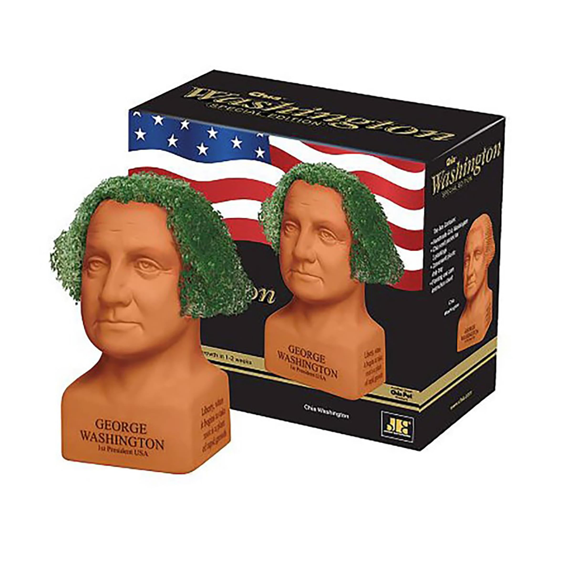 Chia Pet George Washington Decorative Pottery Planter with Seeds ...