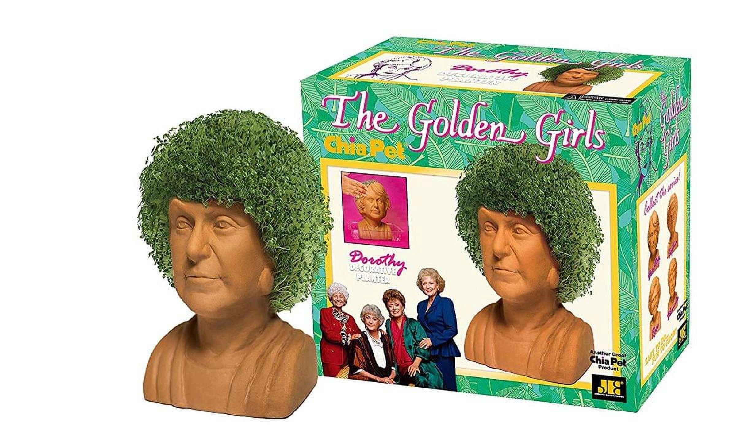 Chia - Pet Planter (The Golden Girls- Dorothy) Indoors Garden ...