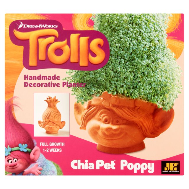 Chia Pet Poppy (Trolls) - Decorative Pot Easy to Do Fun to Grow Chia ...