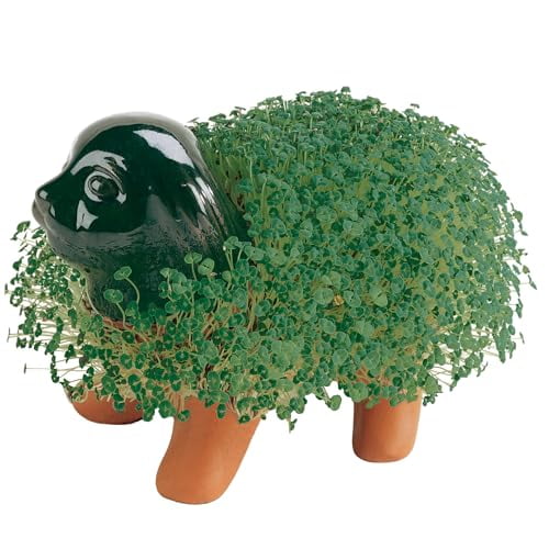 Chia Pet Puppy with Seed Pack, Decorative Pottery Planter, Easy to Do ...