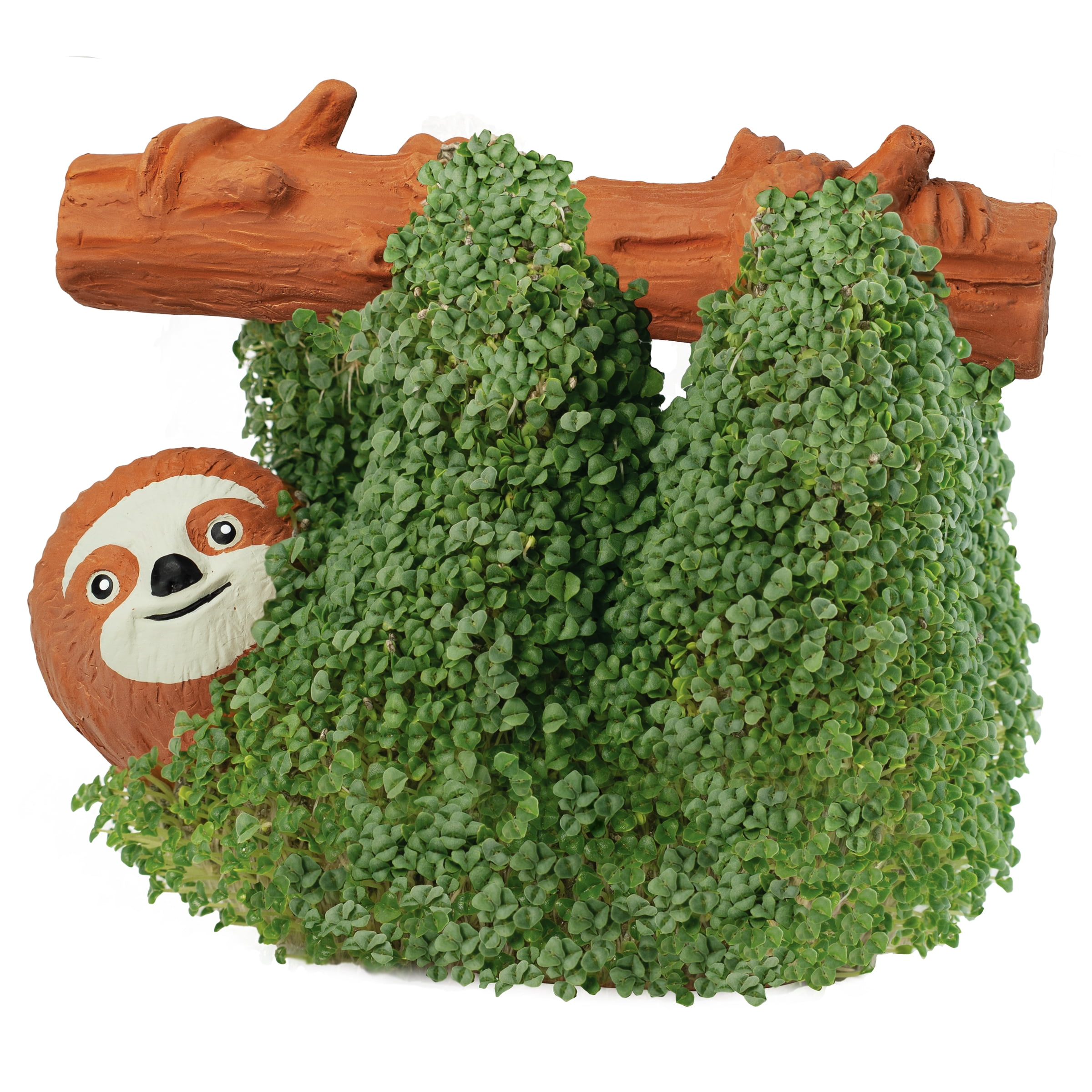 Sloth Classic Chia Pet Handmade Decorative Planter by JEI - Walmart.com