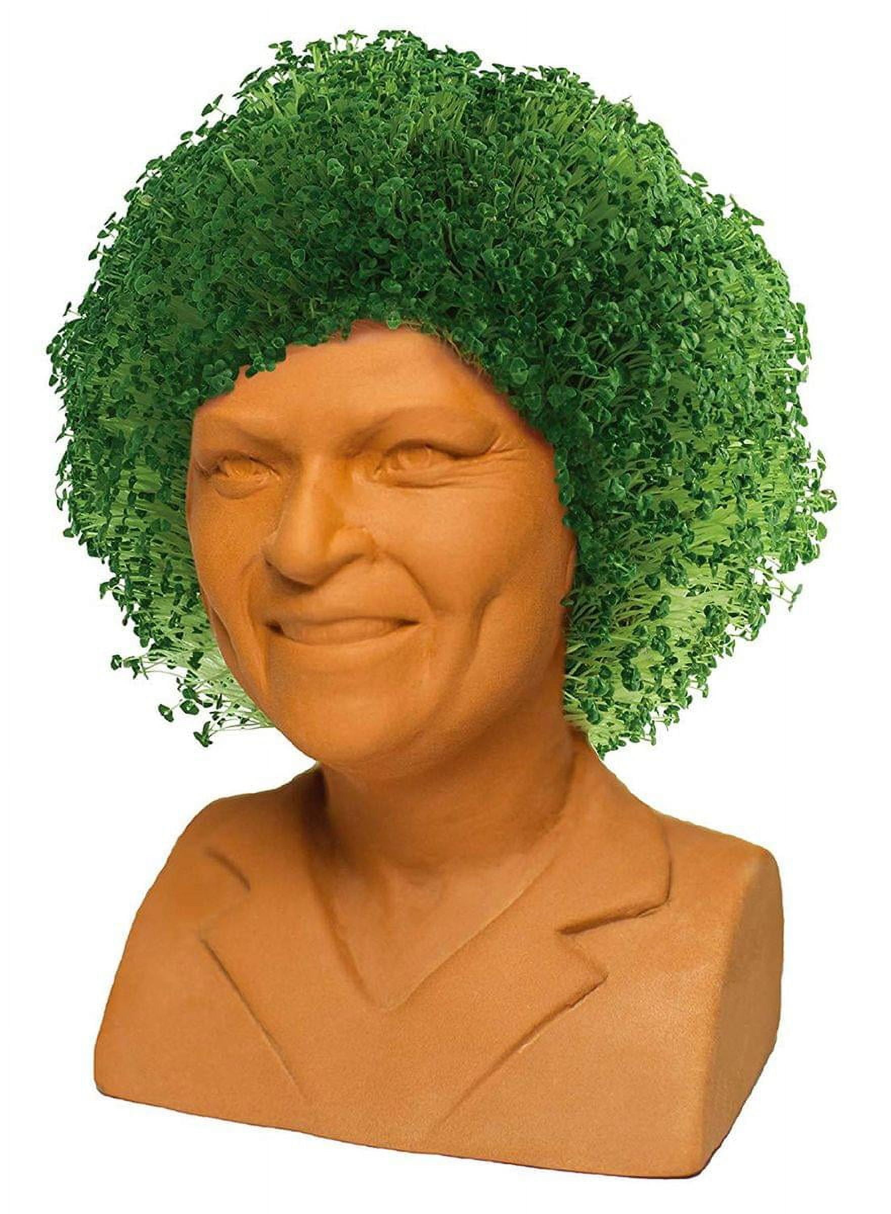 Chia The Golden Girls Rose Chia Pet Chia Head - Betty White Decorative ...