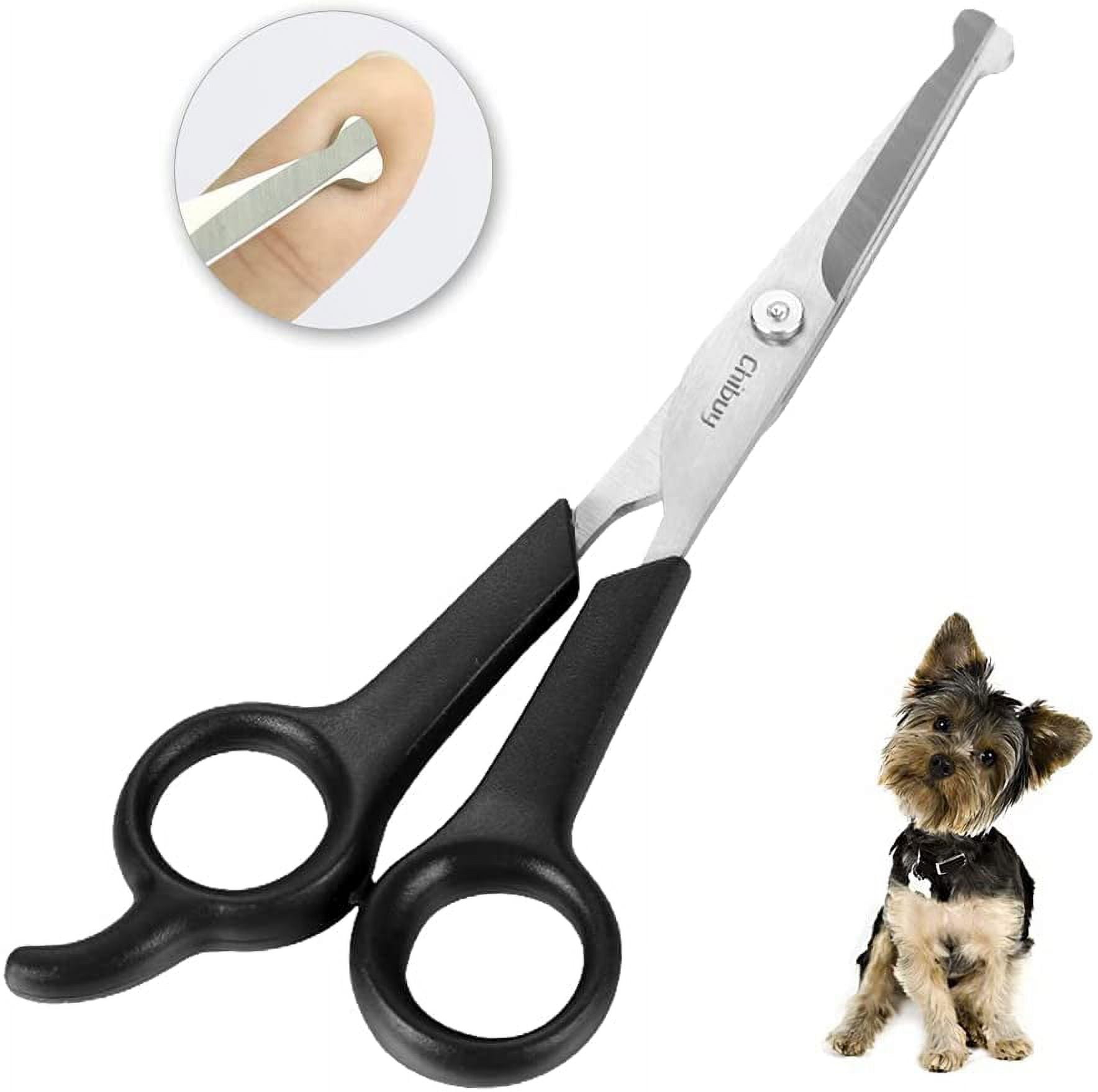 Chibuy Professional Pet Grooming Scissors with Round Tip Stainless ...