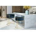 Chic Home Emery Velvet Upholstered Rolled Shelter Arm Counter Stool ...