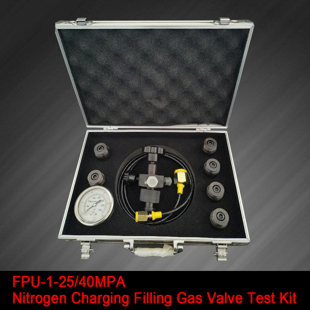 ChicHomey Hydraulic Pressure Gauge for Nitrogen, 0-40MPa, Carbon Steel, Threaded M141.5 ...