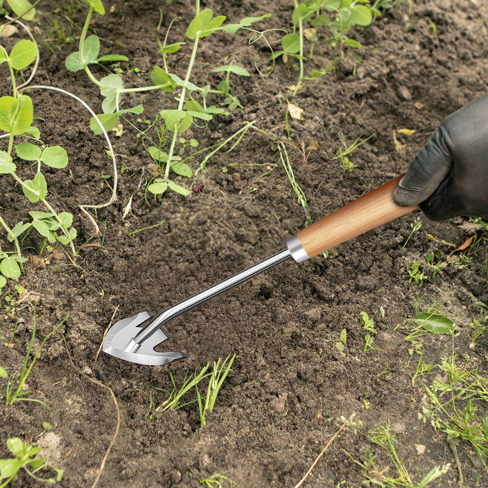 ChicYu Stainless Steel Weeder,Cleaning Tool for Vegetable Garden ...