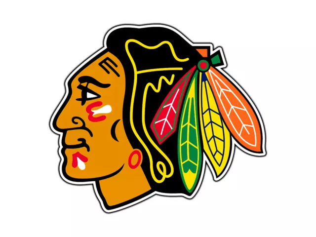 Chicago Blackhawks Logo Nhl Hockey Waterproof Sticker Phone Decal Water ...