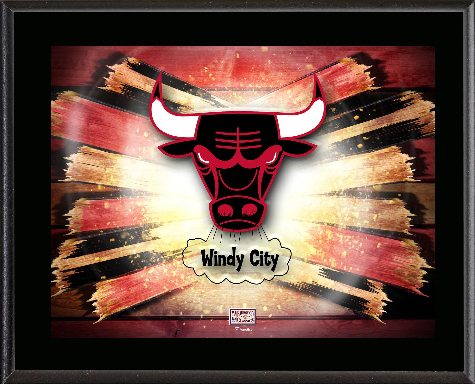 Chicago Bulls Logo Windy City