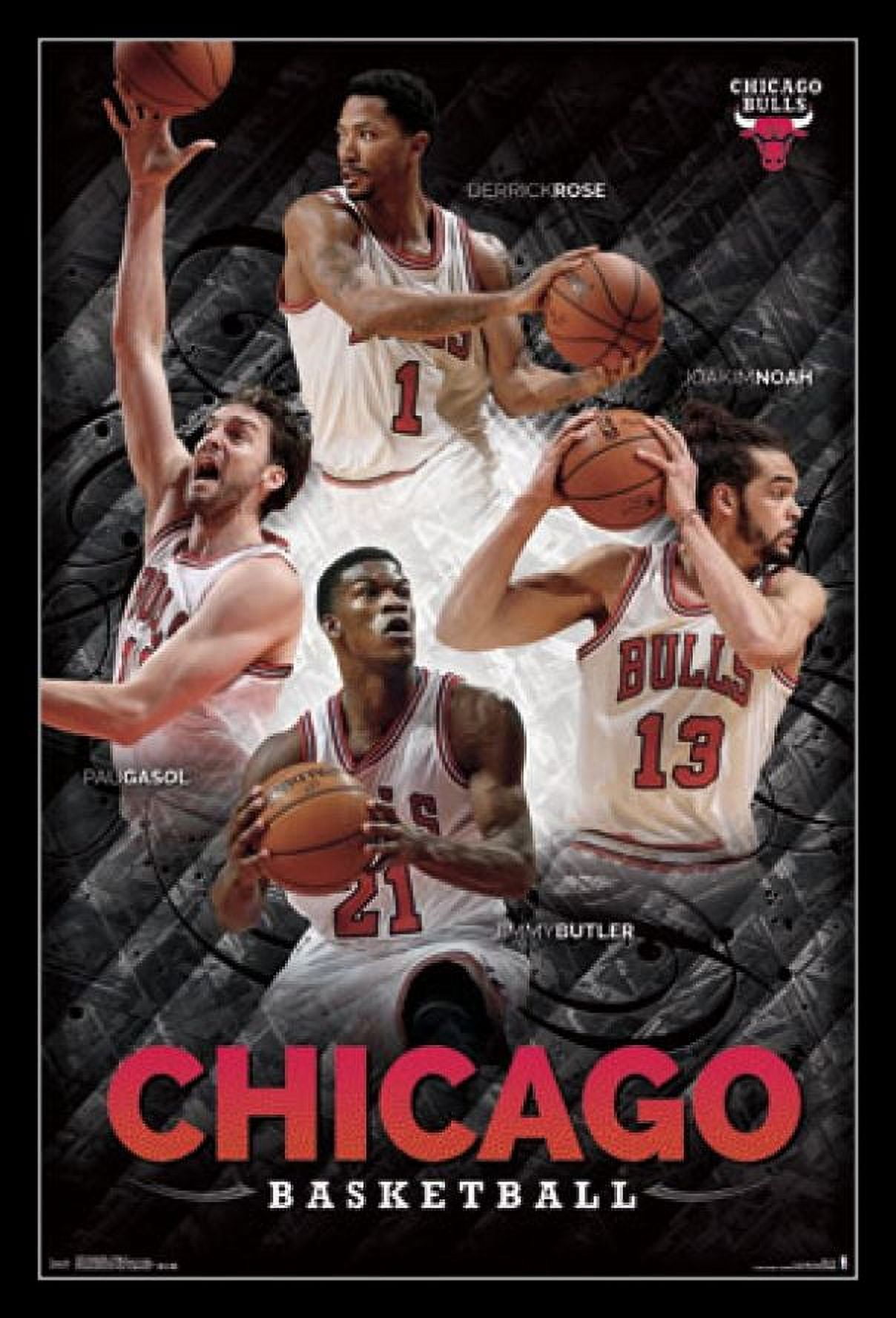 Chicago Bulls - Collage 2014 Laminated & Framed Poster Print (24 x 36 ...