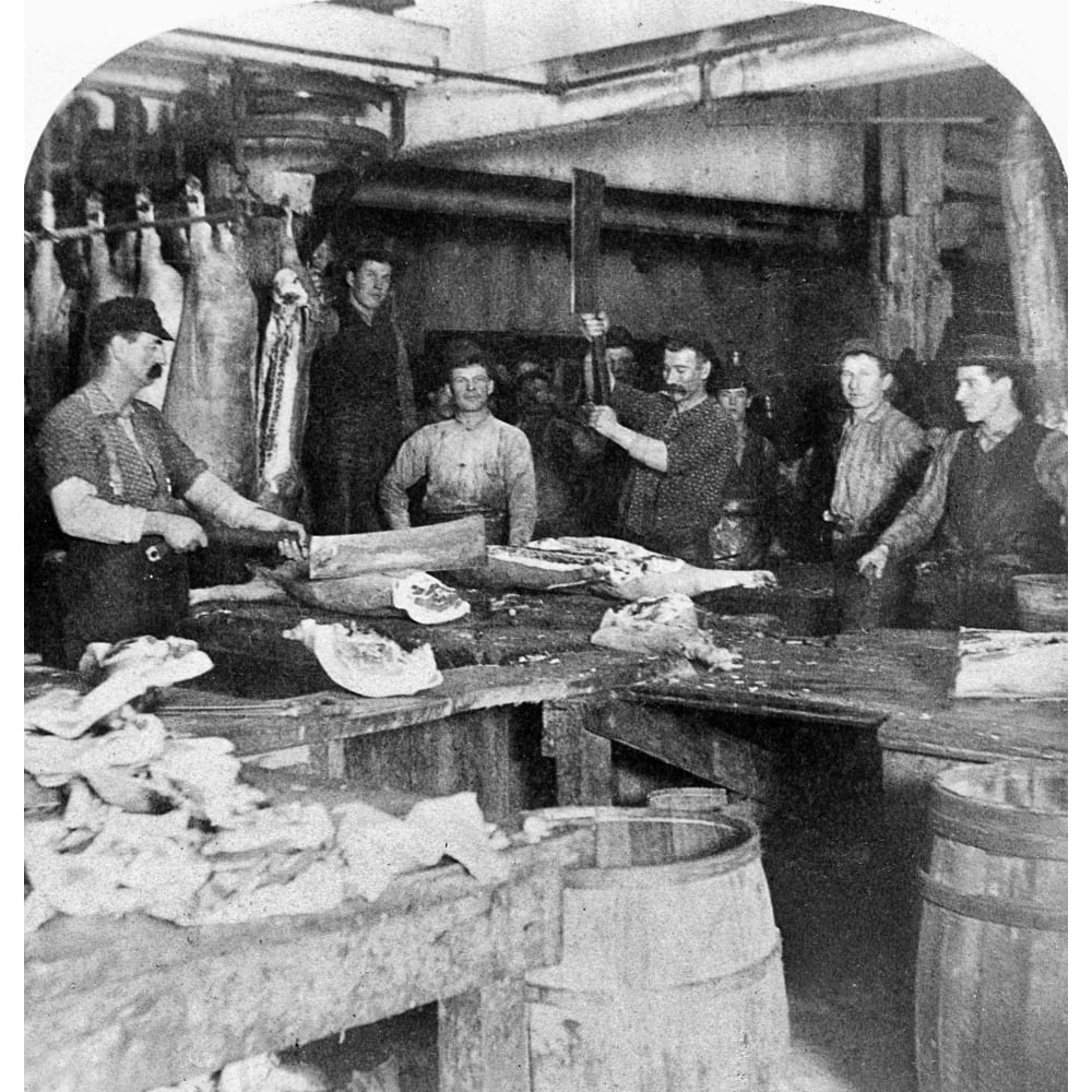 Chicago Meatpacking. Nfactory Workers Cutting Up Hogs At The Armour And ...