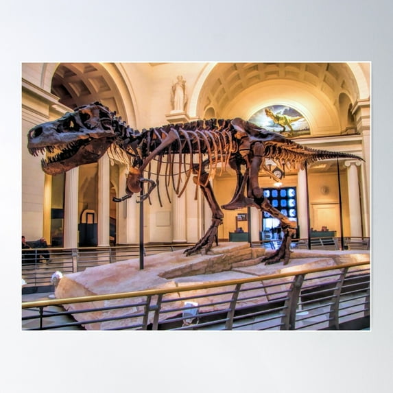 Chicago Tyrannosaurus Rex Sue Poster Wall Art, Modern Wall Decor For ...