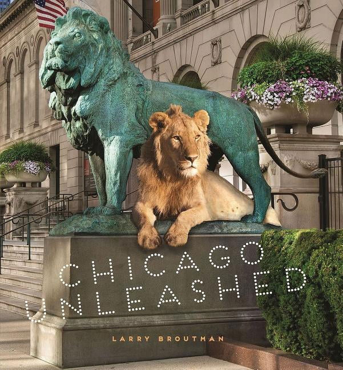 Chicago Unleashed (Hardcover) - Walmart Business Supplies