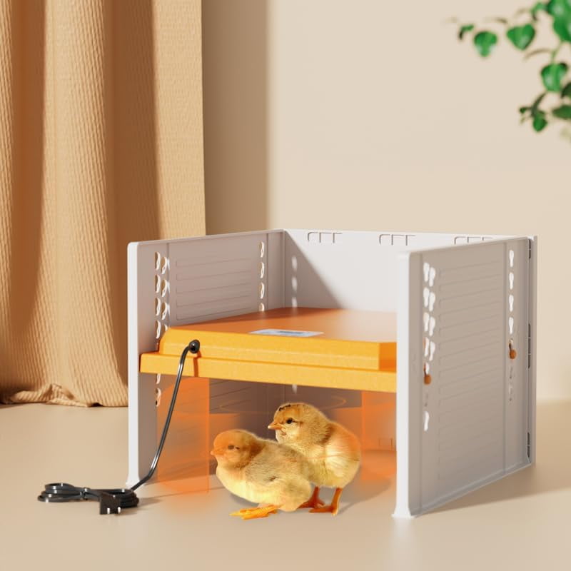 Chick Brooder, 25W Brooder Heater for Chicks Adjustable Temperature ...