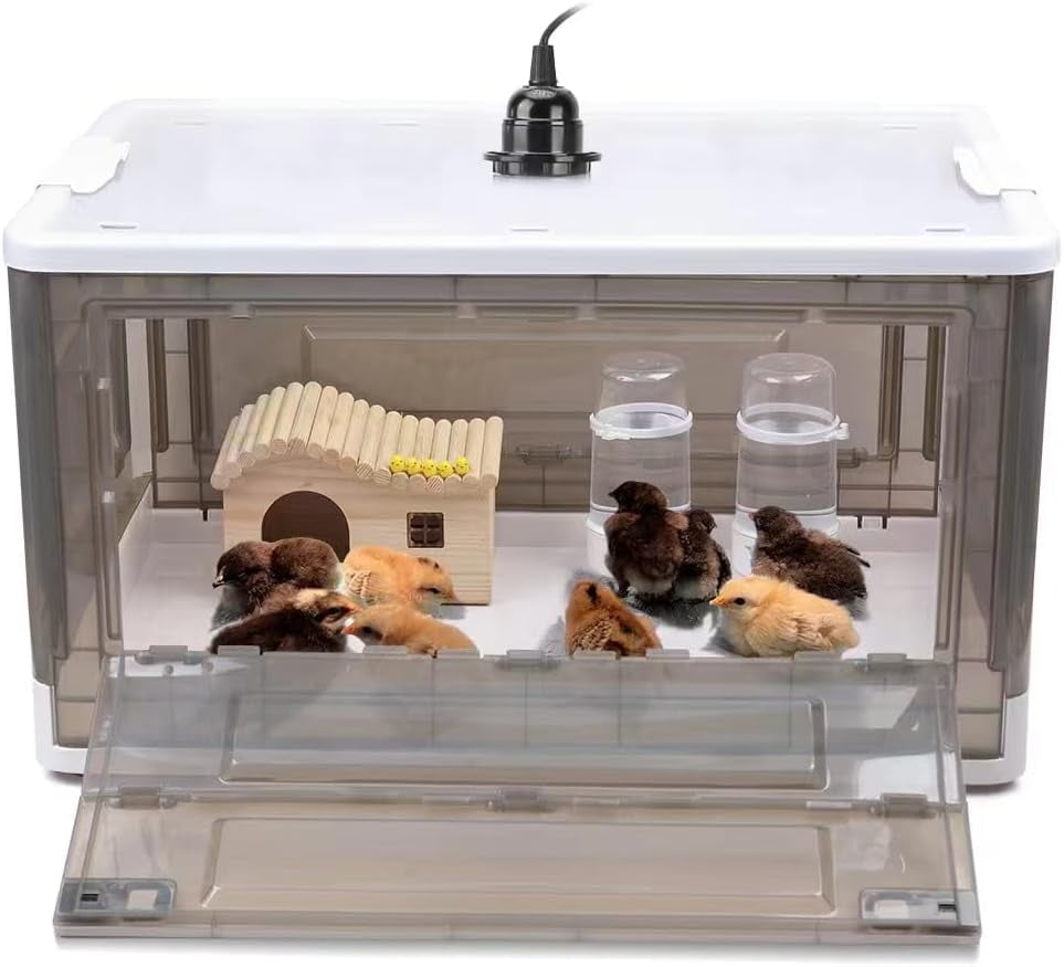 Chick Brooder,Brooder Box for Chicks,Brooder Heater Warms up to 15 ...