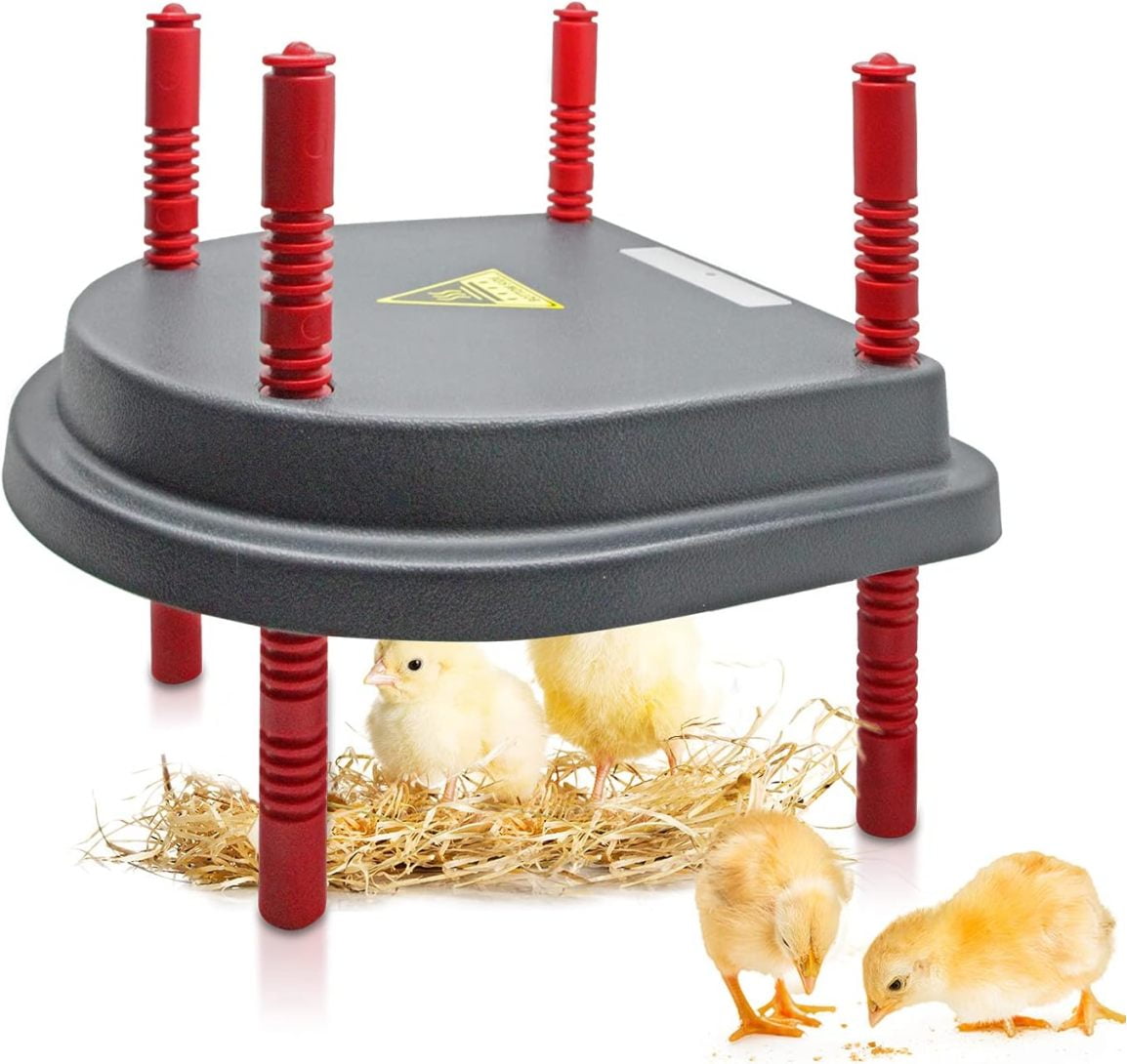 Chick Brooder Heat Plate Replacement Heat Lamp Brooder Box Adjustment ...