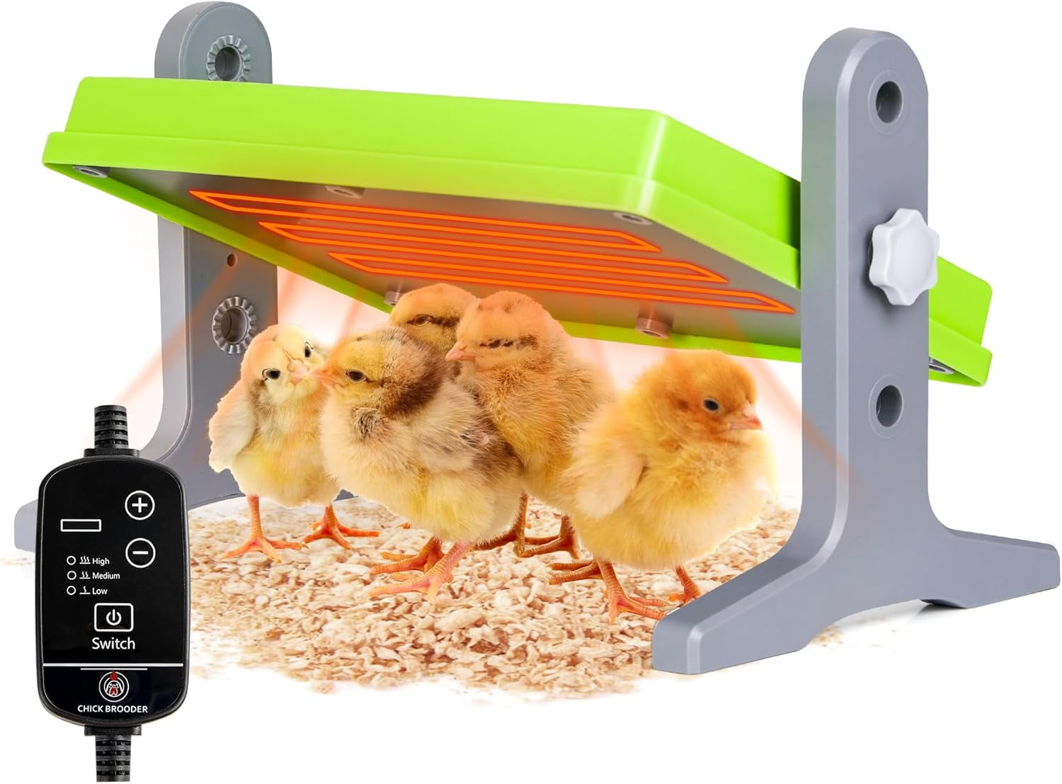 Chick Brooder Heater - Adjustable Temperature, Size, Height for 10 ...