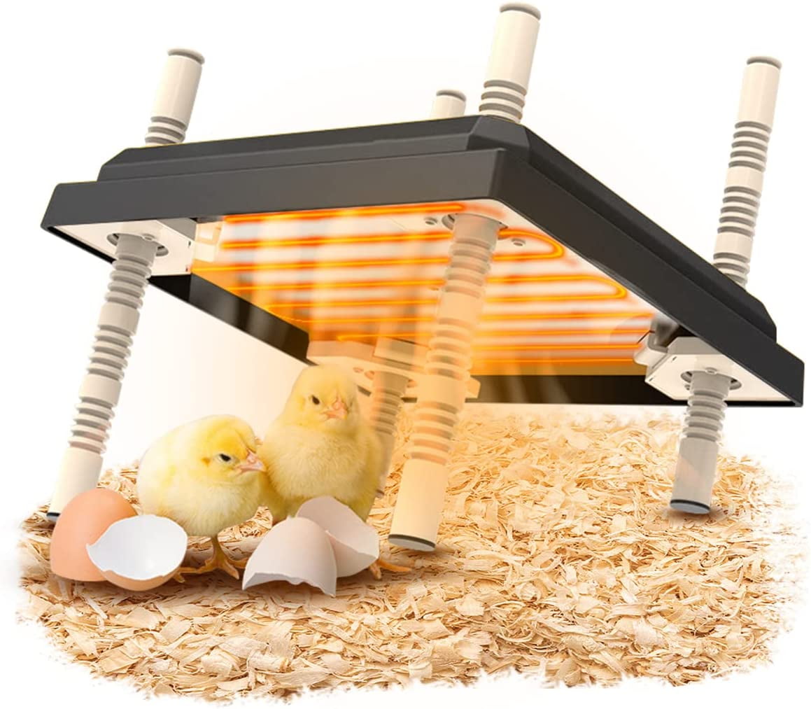 Chick Brooder Heating Plate for Chicks, 10" x 10" Chicken Heat Brooder ...