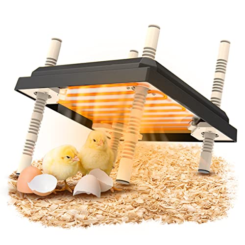 Chick Brooder Heating Plate for Chicks, 10" x 10" Chicken Heat Brooder ...