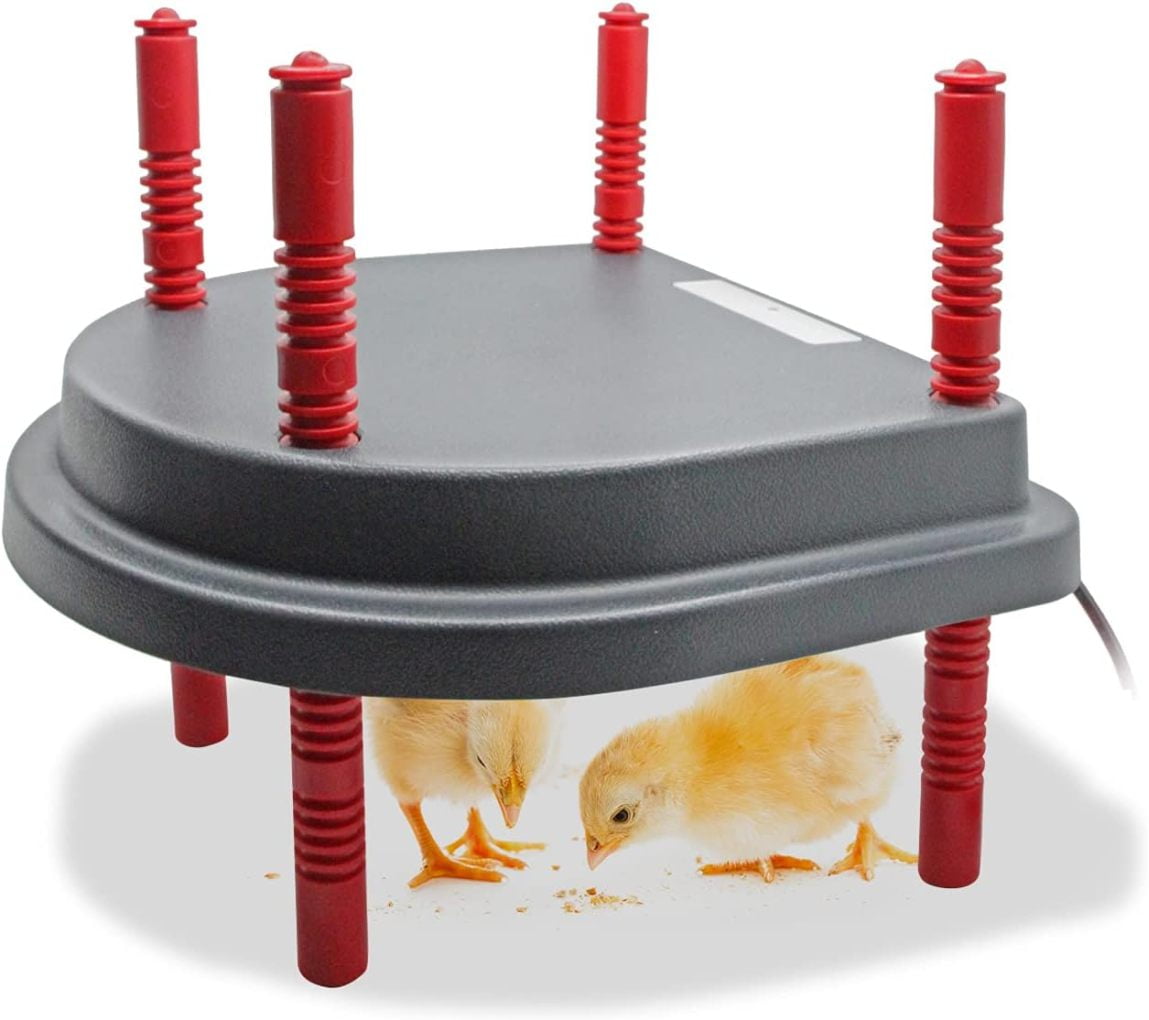 Chick Duckling Brooder Heating Plate- Chicken Coop Brooder Heater Like ...