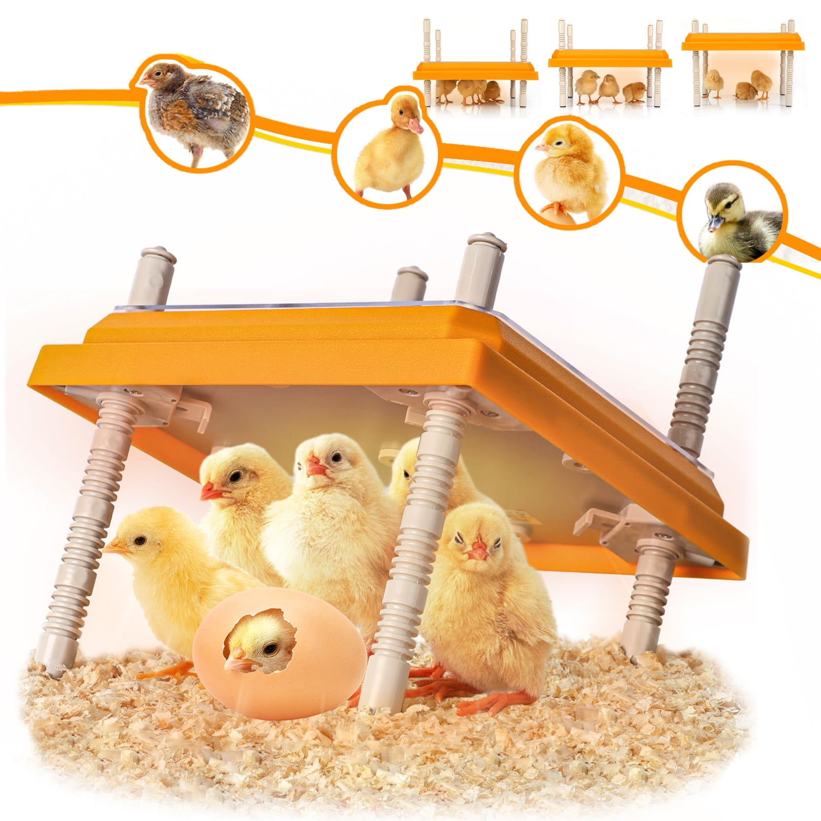 Chick Heating Plate Brooder Heater 10" x 10" for 15 Chicks Heating ...