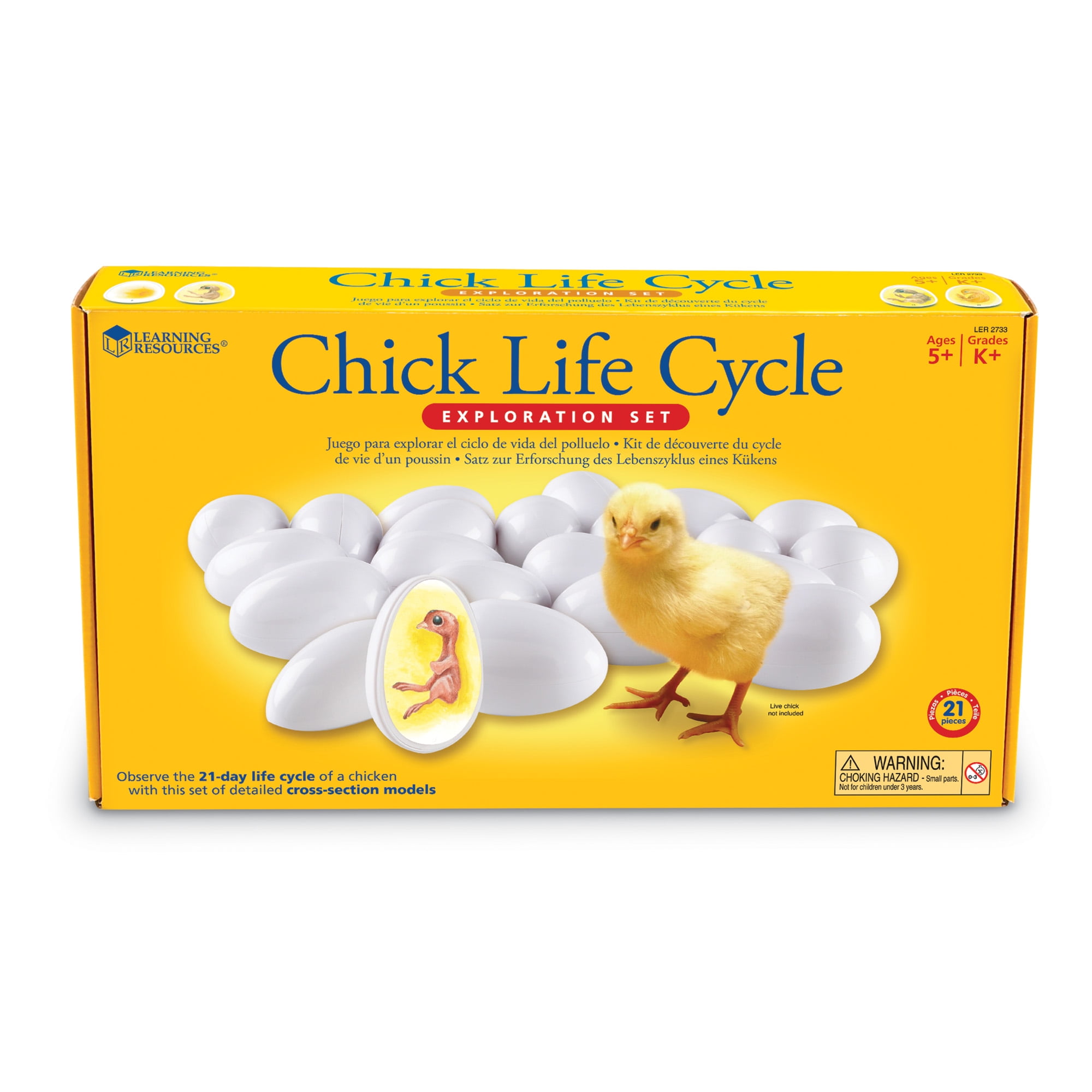 Chick Life Cycle Exploration Set - Walmart.com